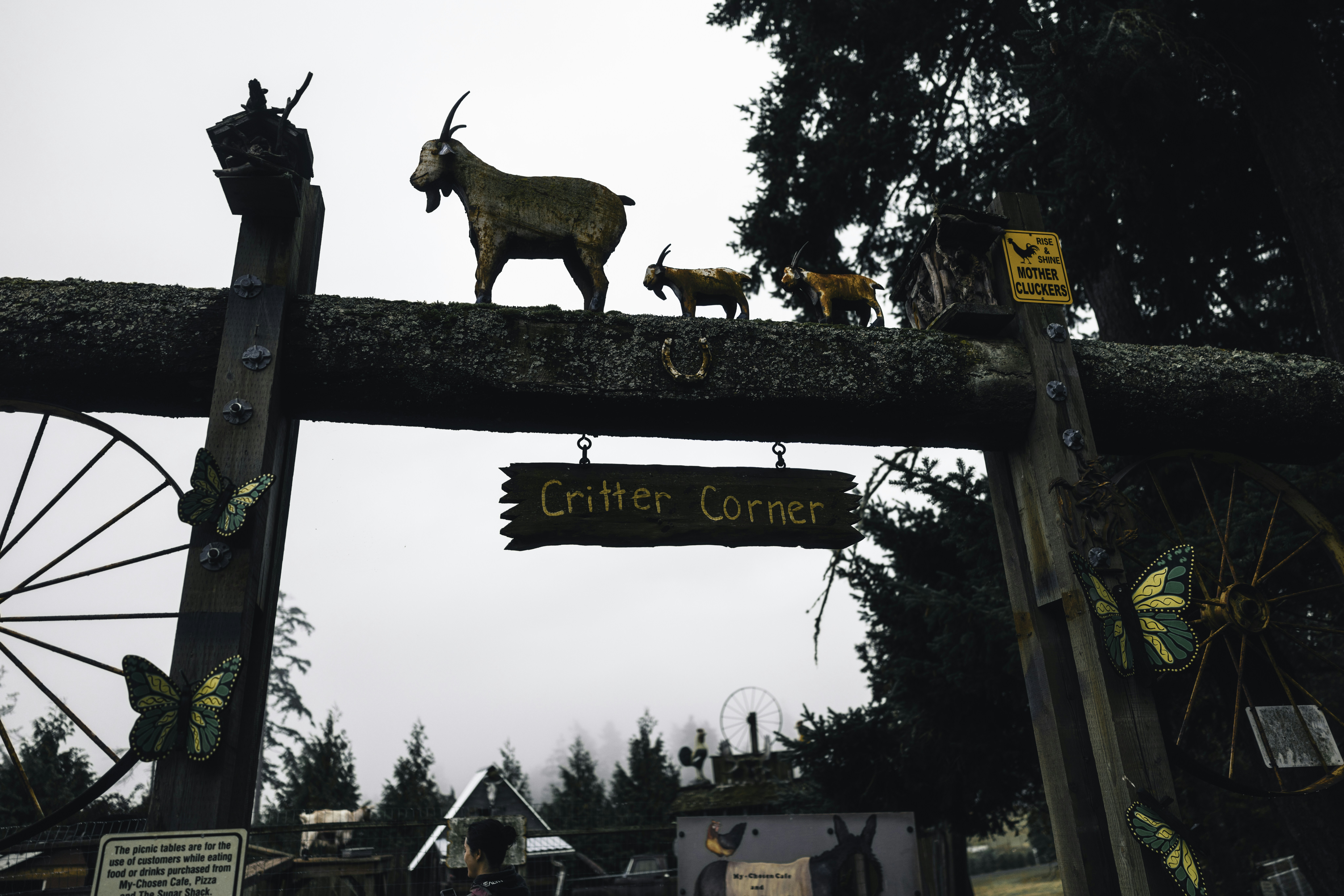 Goats on the Gate: A Rustic Critter Corner