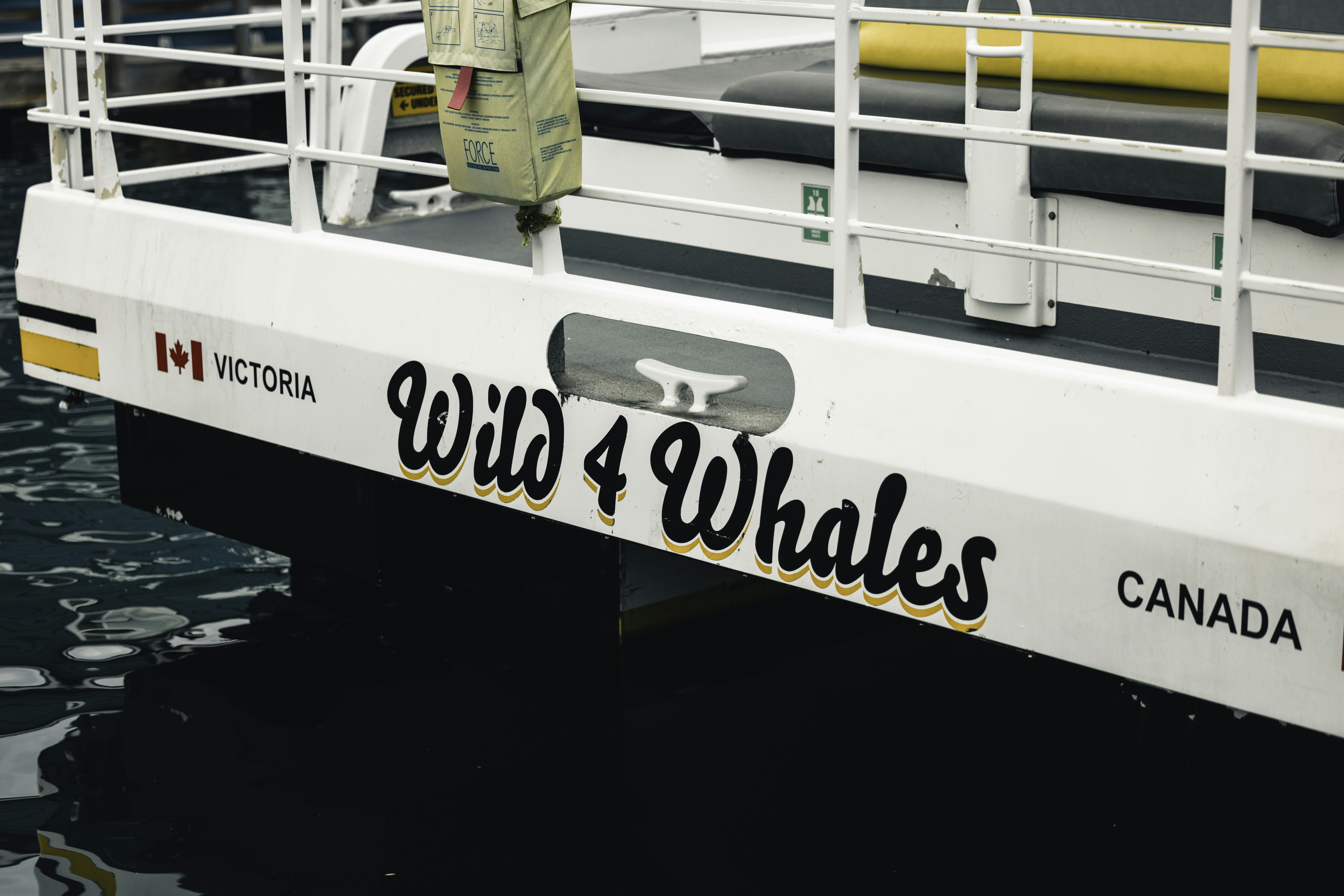 Wild 4 Whales: Canada Ferry at Dock