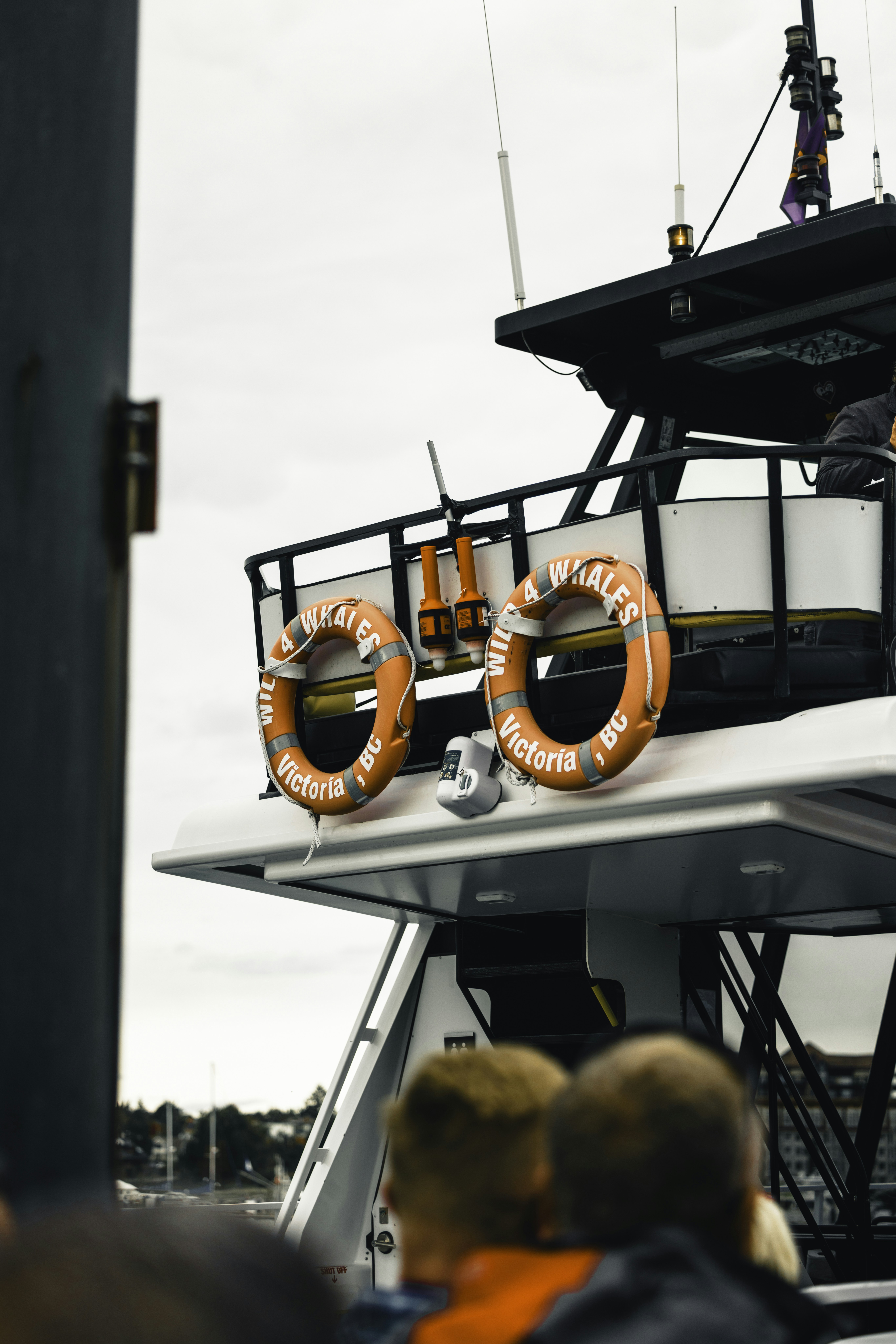 Lifebuoy Redesigns the Deck: A Closer Look at Portside Safety