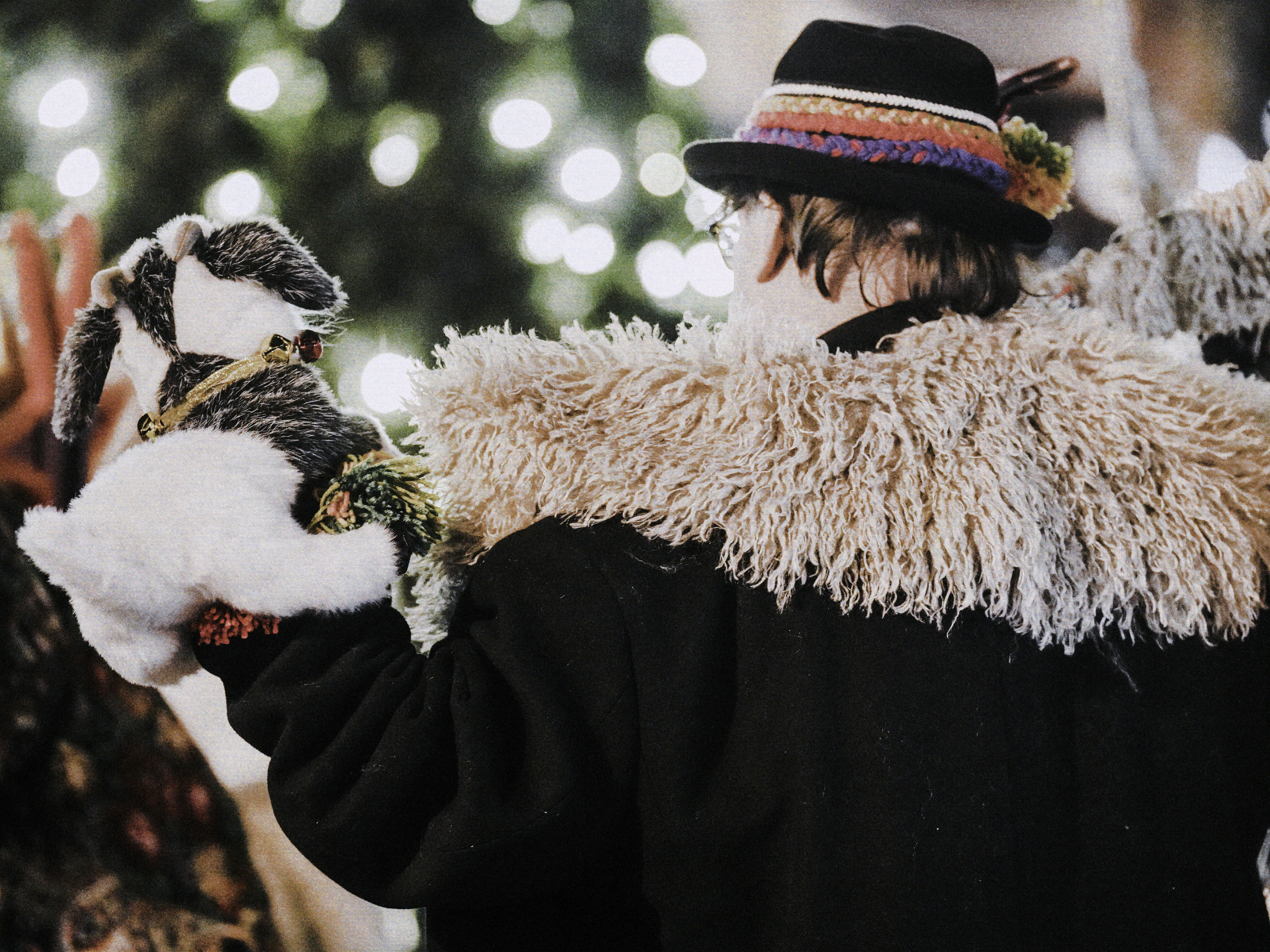 Fur-collared Celebration: A Moment of Warmth and Color