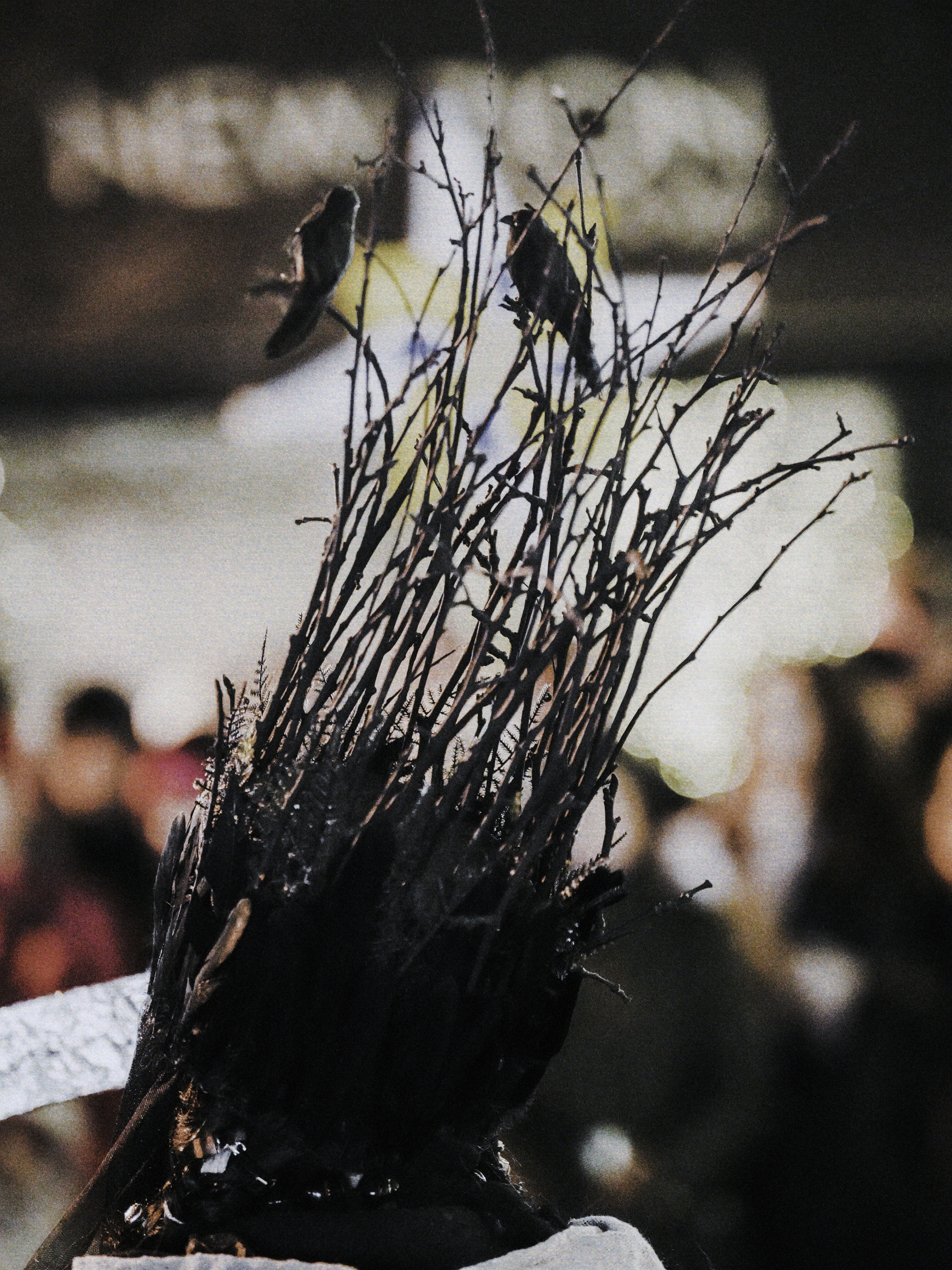 Birds on a Branch Crown at Night Market