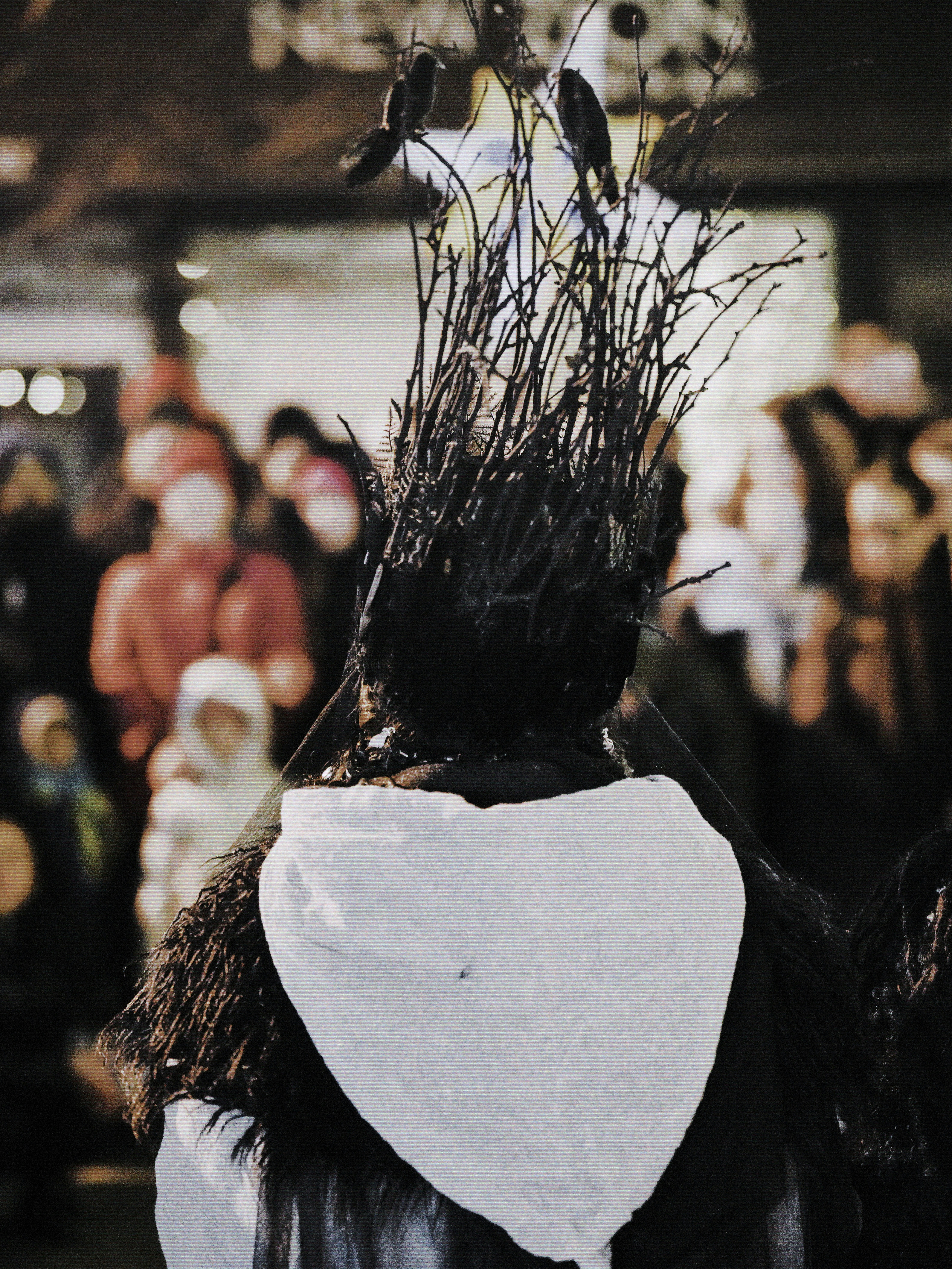 Raven Crowned in a Night Market Crowd