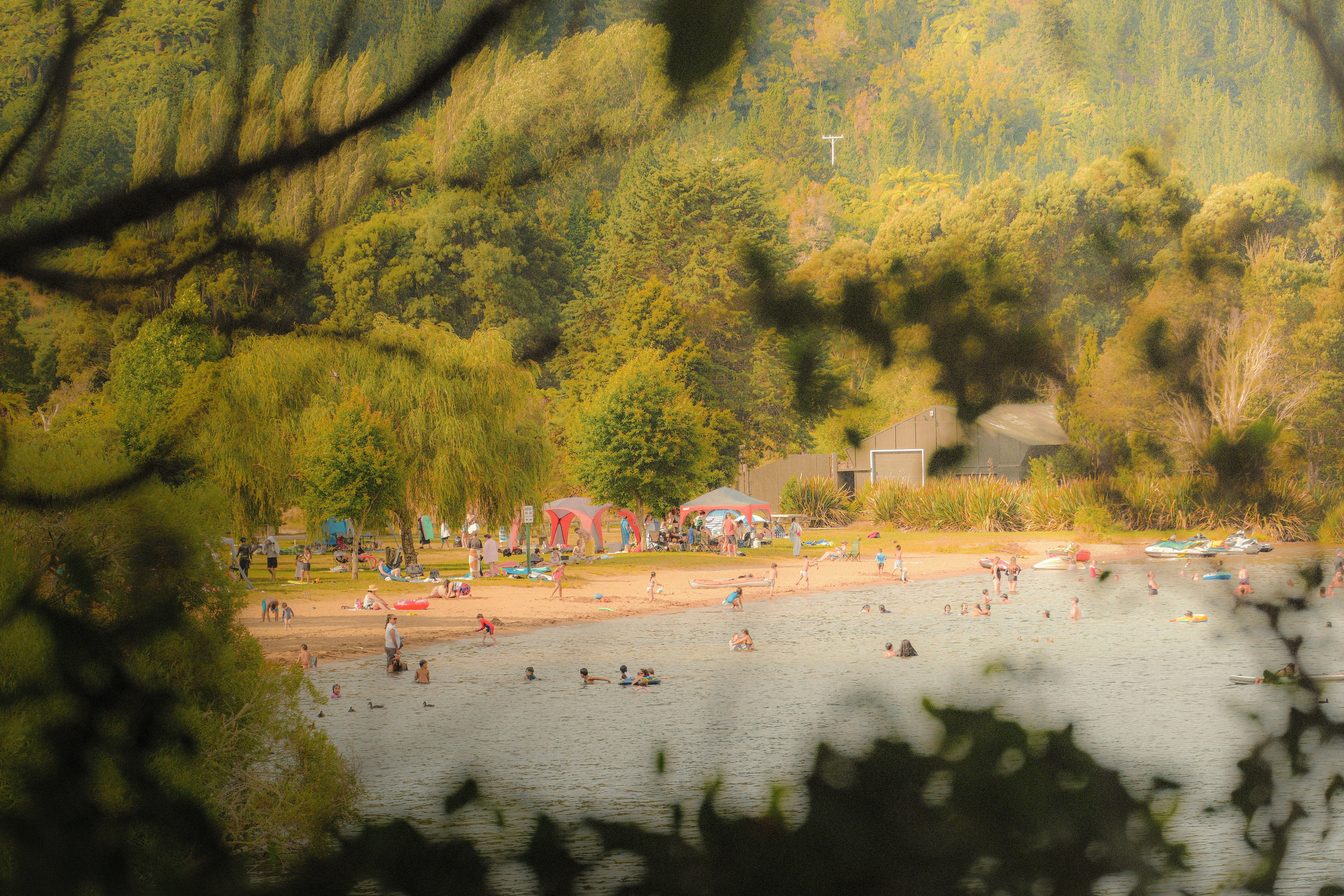 Sunlit Beach Comings and Goings: A Quiet Summer Scene Framed by Foliage