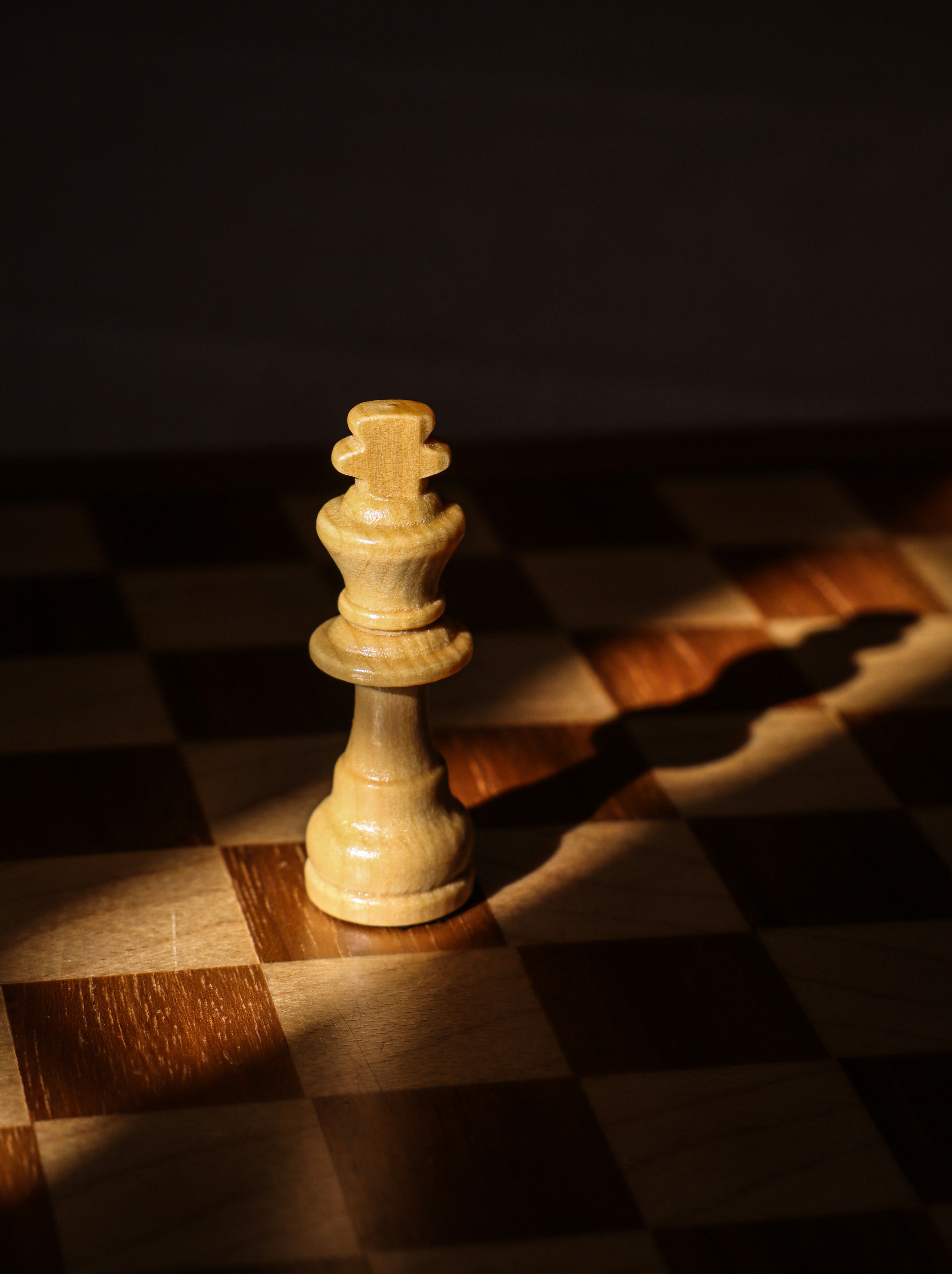 A Lone King on a Checkered Stage in the Spotlight