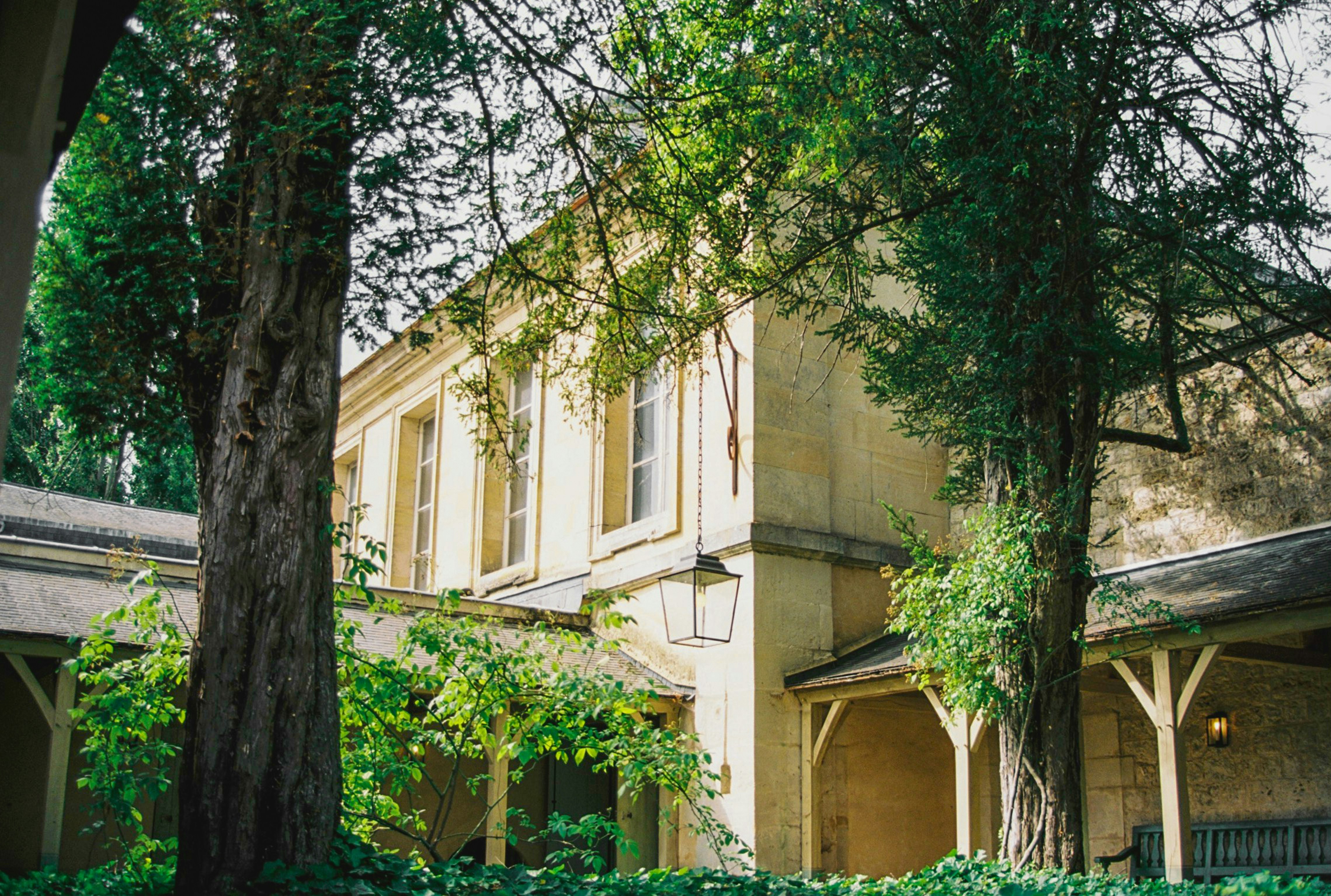 Canon T70 Sample Shots