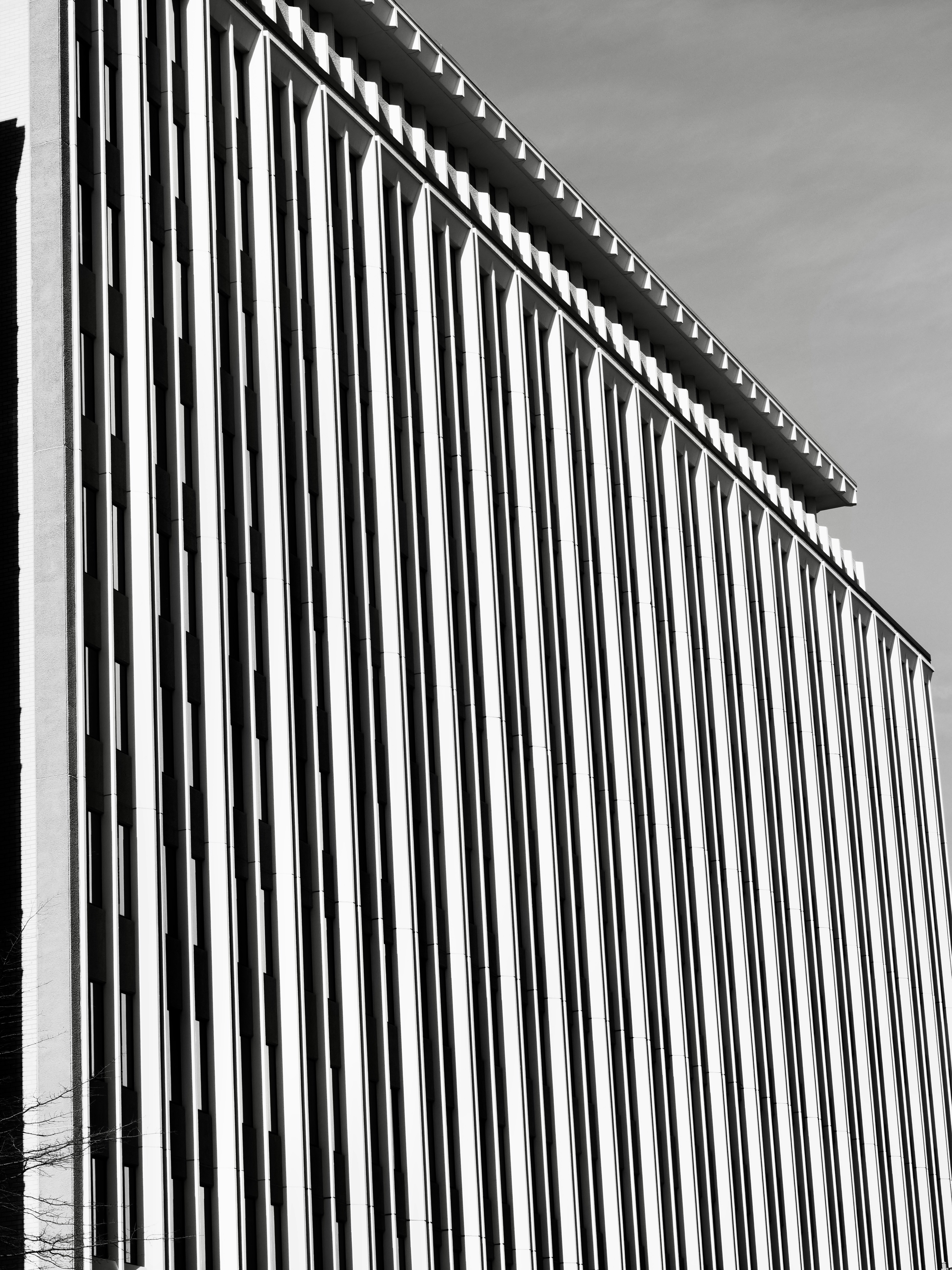Vertical Rhythm: A Facade of Repeating Slats in Monochrome Light