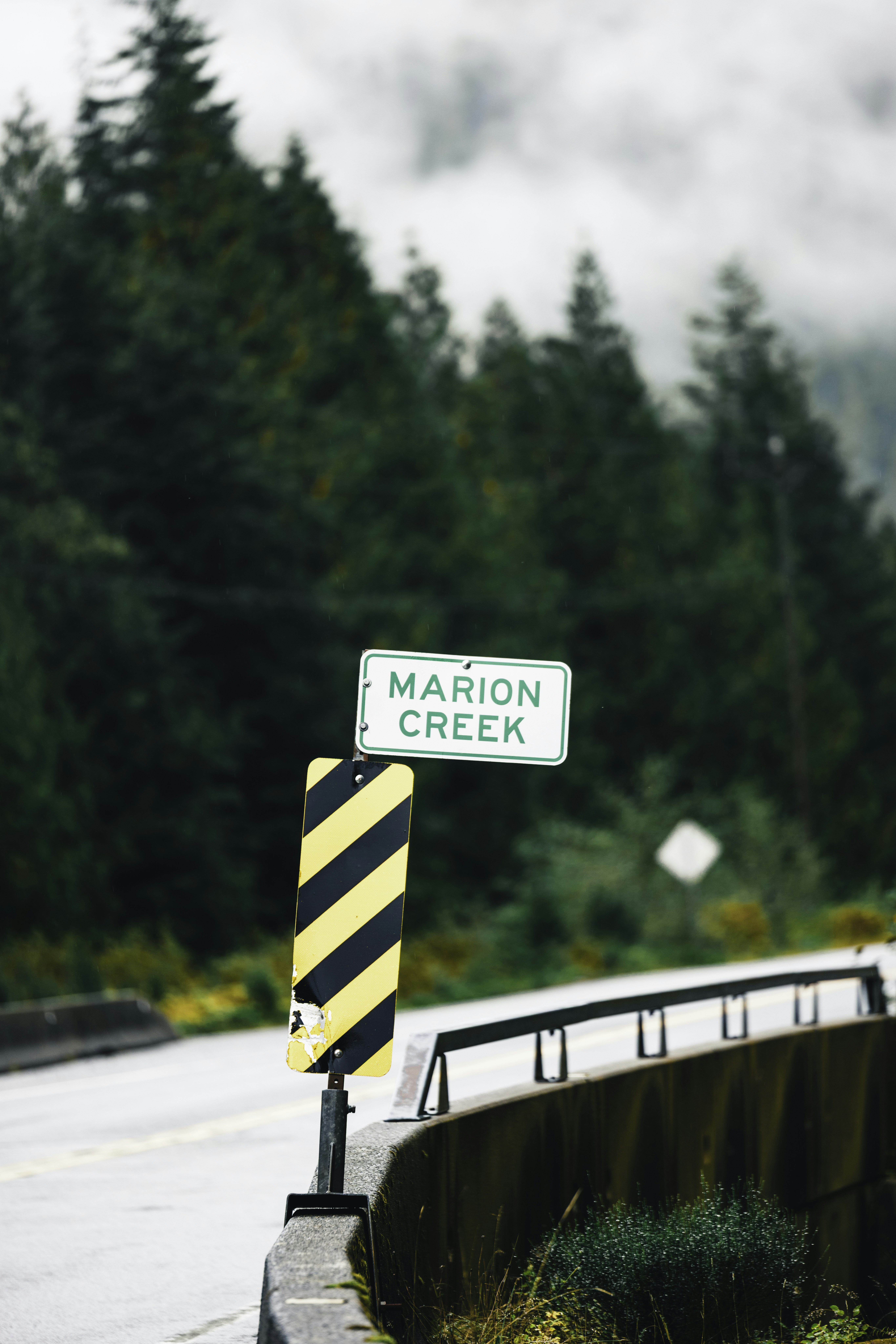 Marion Creek Bridge Signrooted in Mist