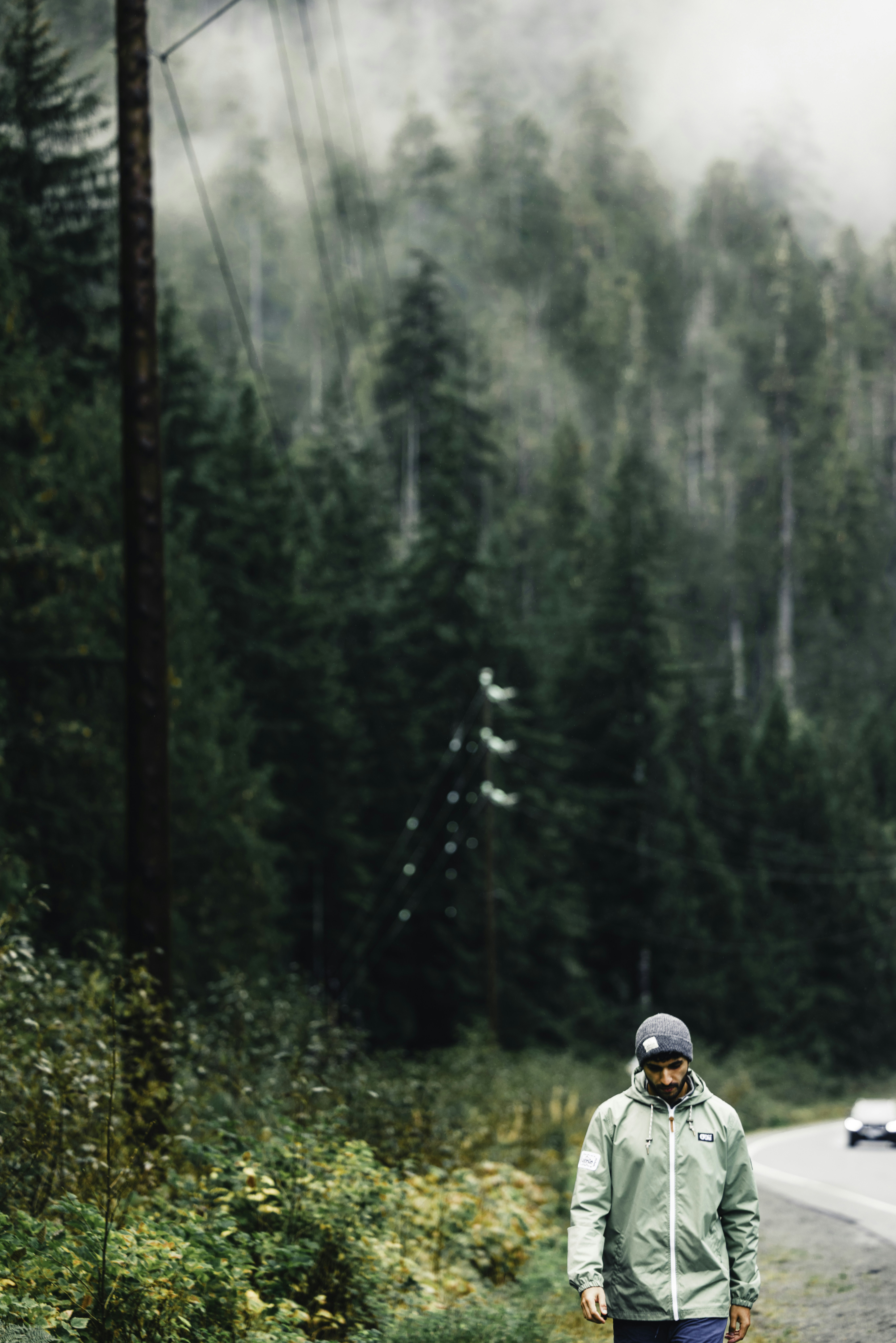 Traveler in Mint Jacket on a Misty Forest Road