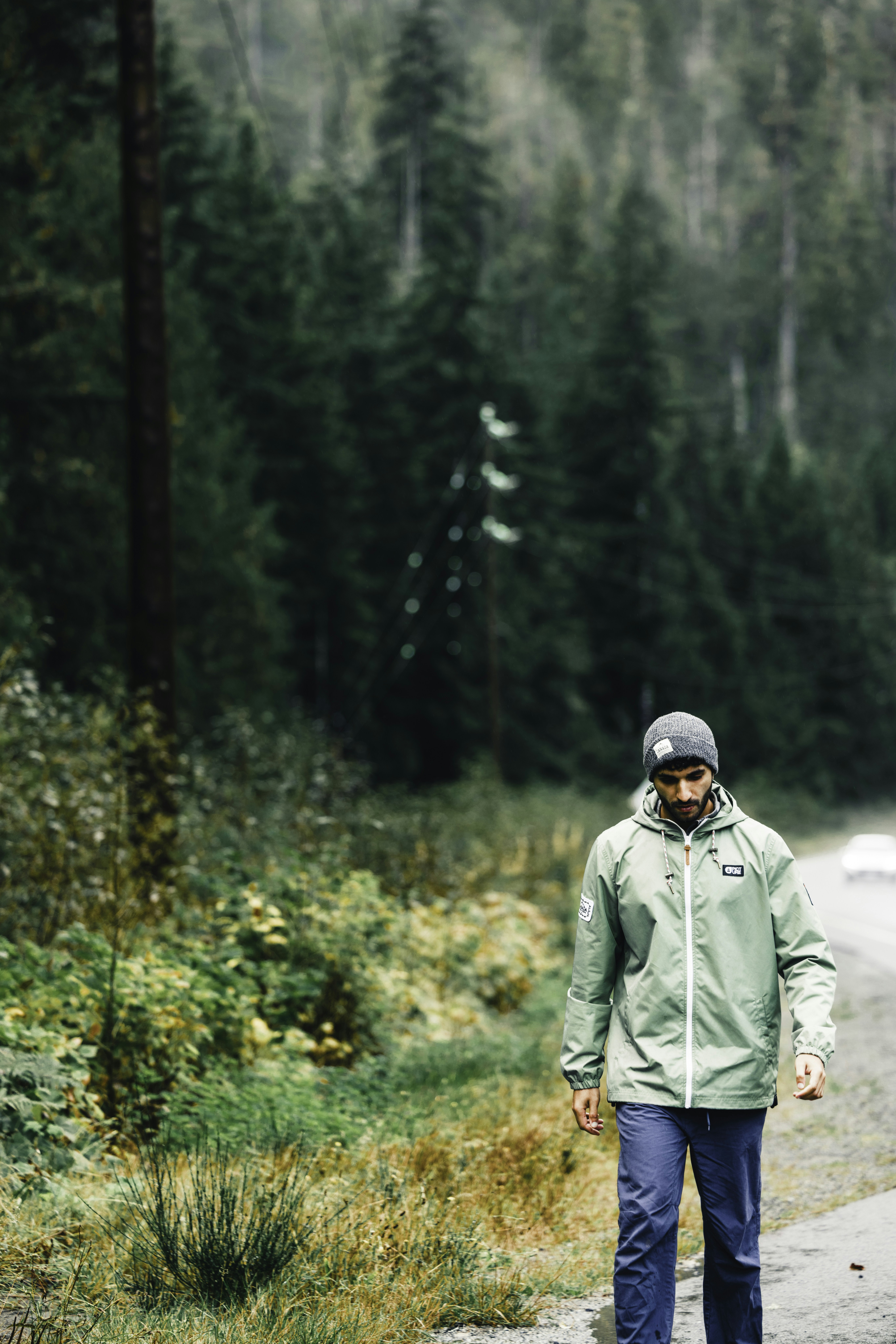 Traveler in a Misty Evergreen Road
