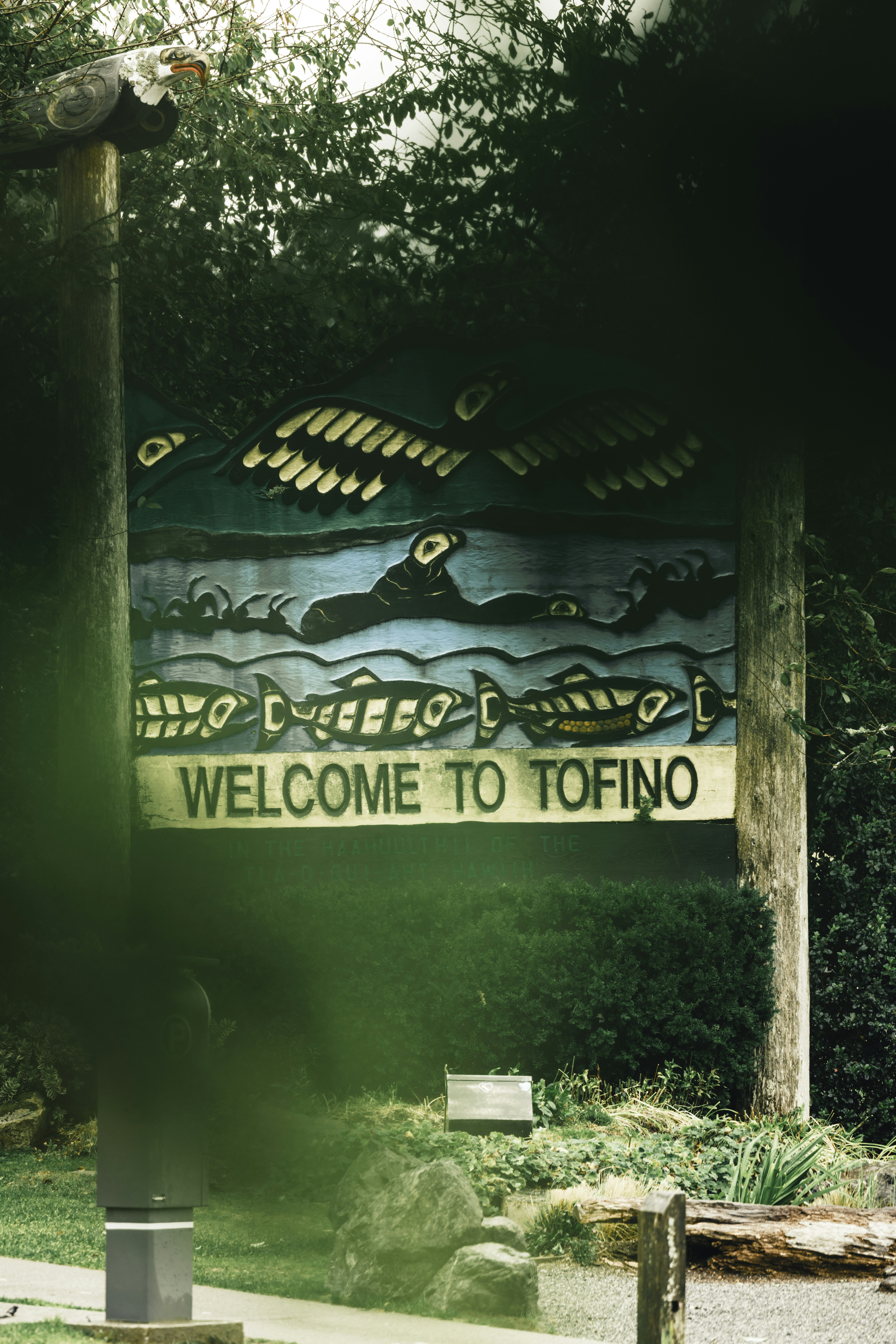 Welcome Sign Under a Green Veil
