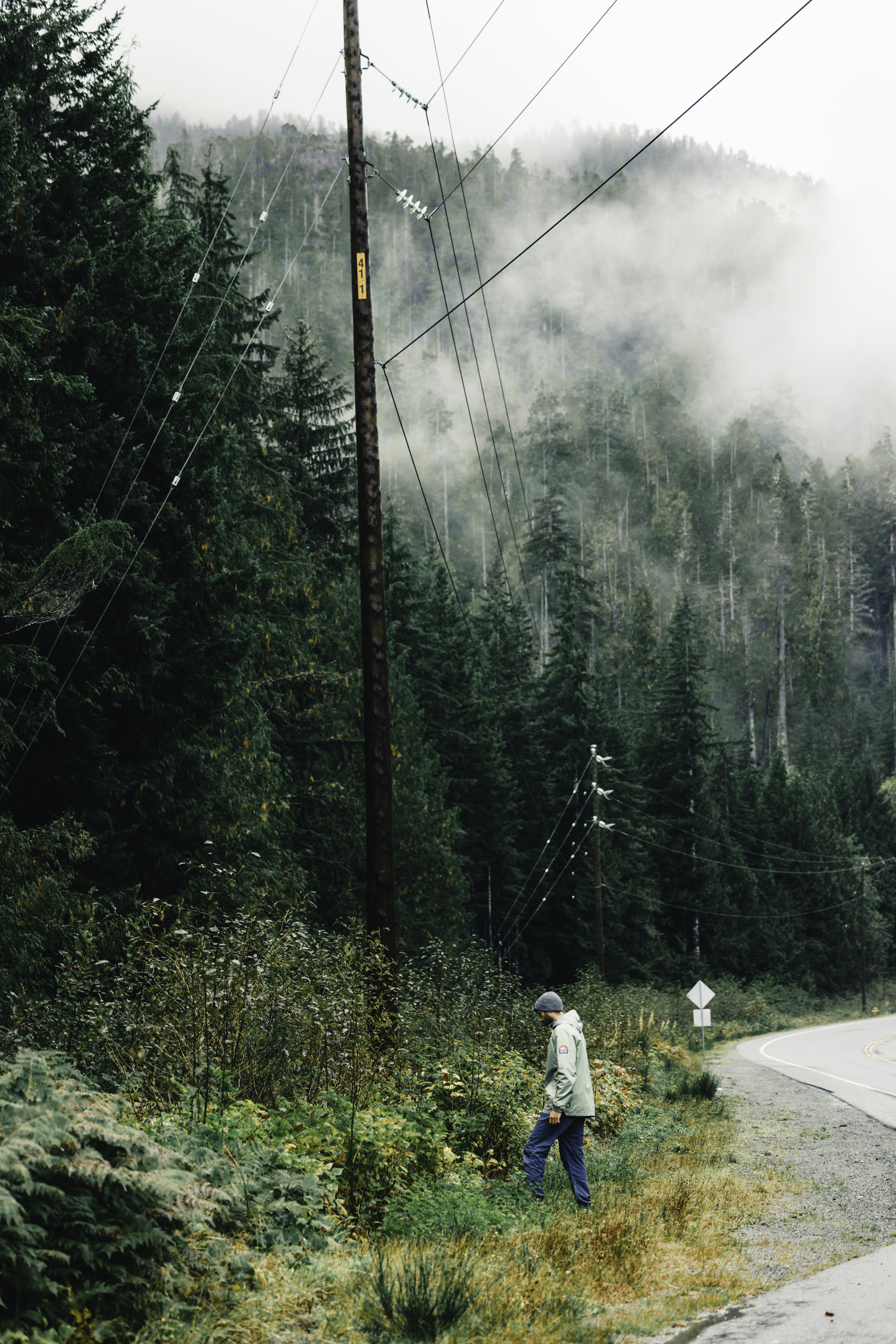Misty Roadside Walk: A Wanderer in a Verdant Fog