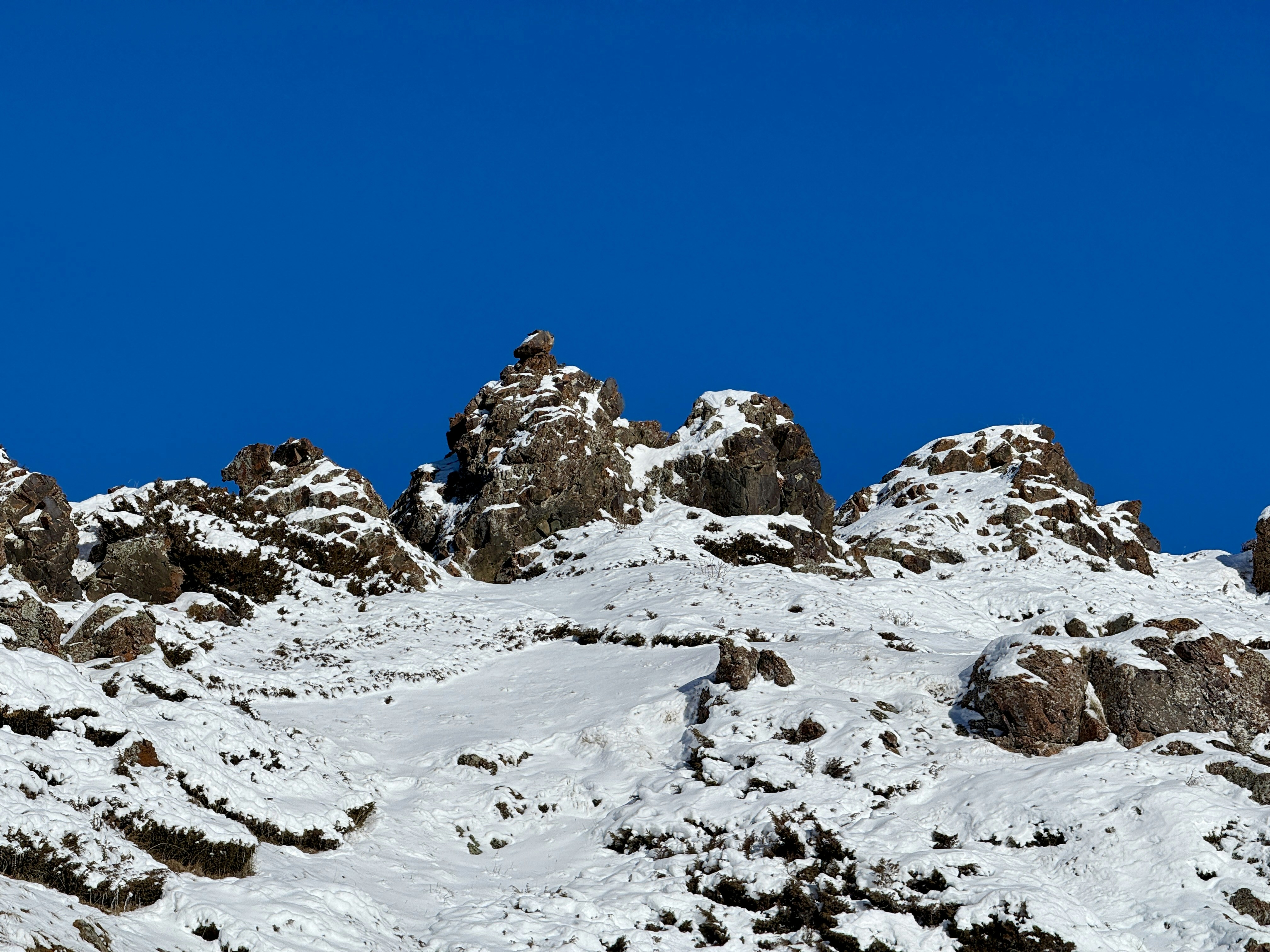 Snowbound Ridge Under a Cerulean Noon