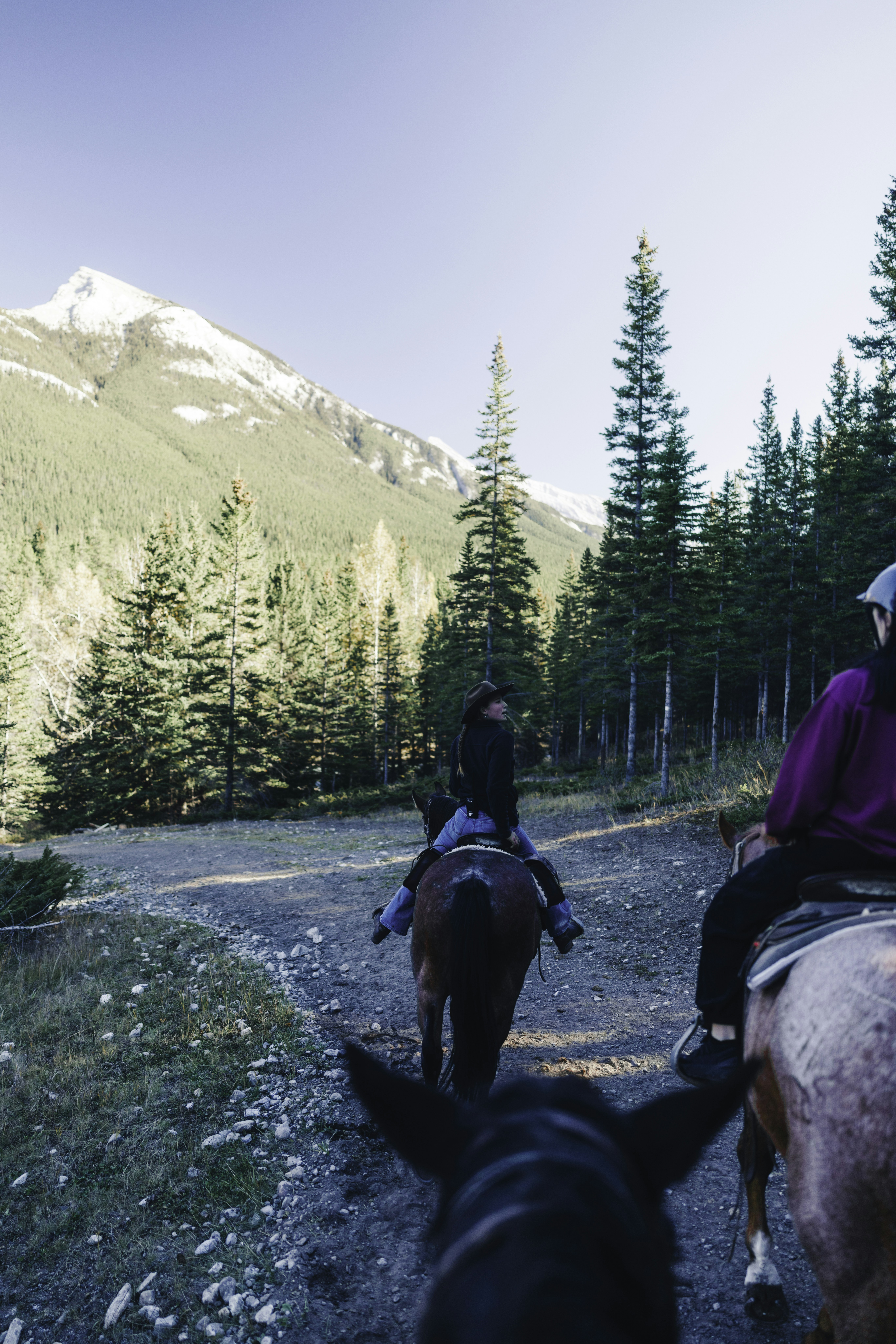 People riding horses on a mountain trail photo – Free Forest Image on ...