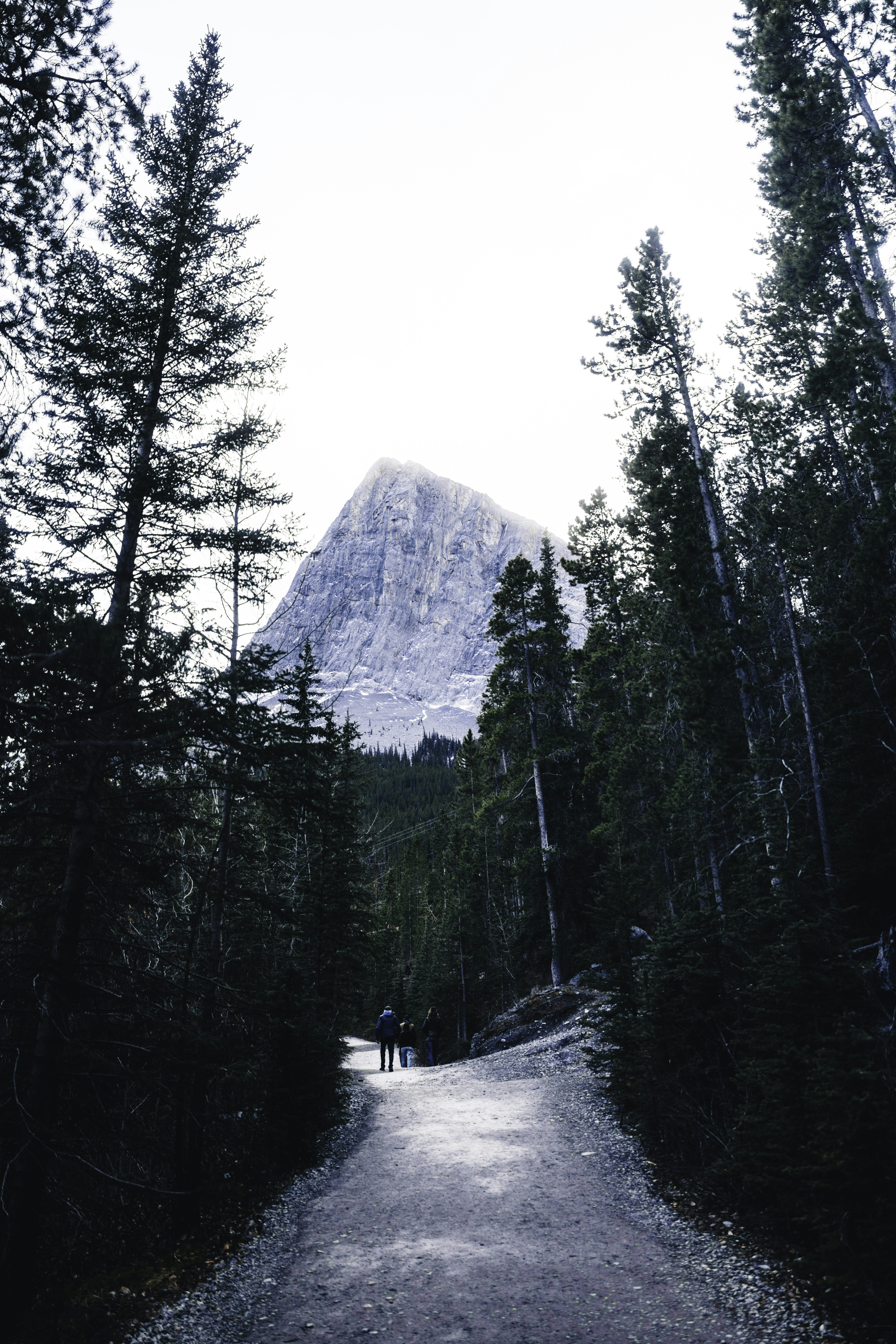 Path to the Peak: A Forest Trail Framed by Snowy Monadnock