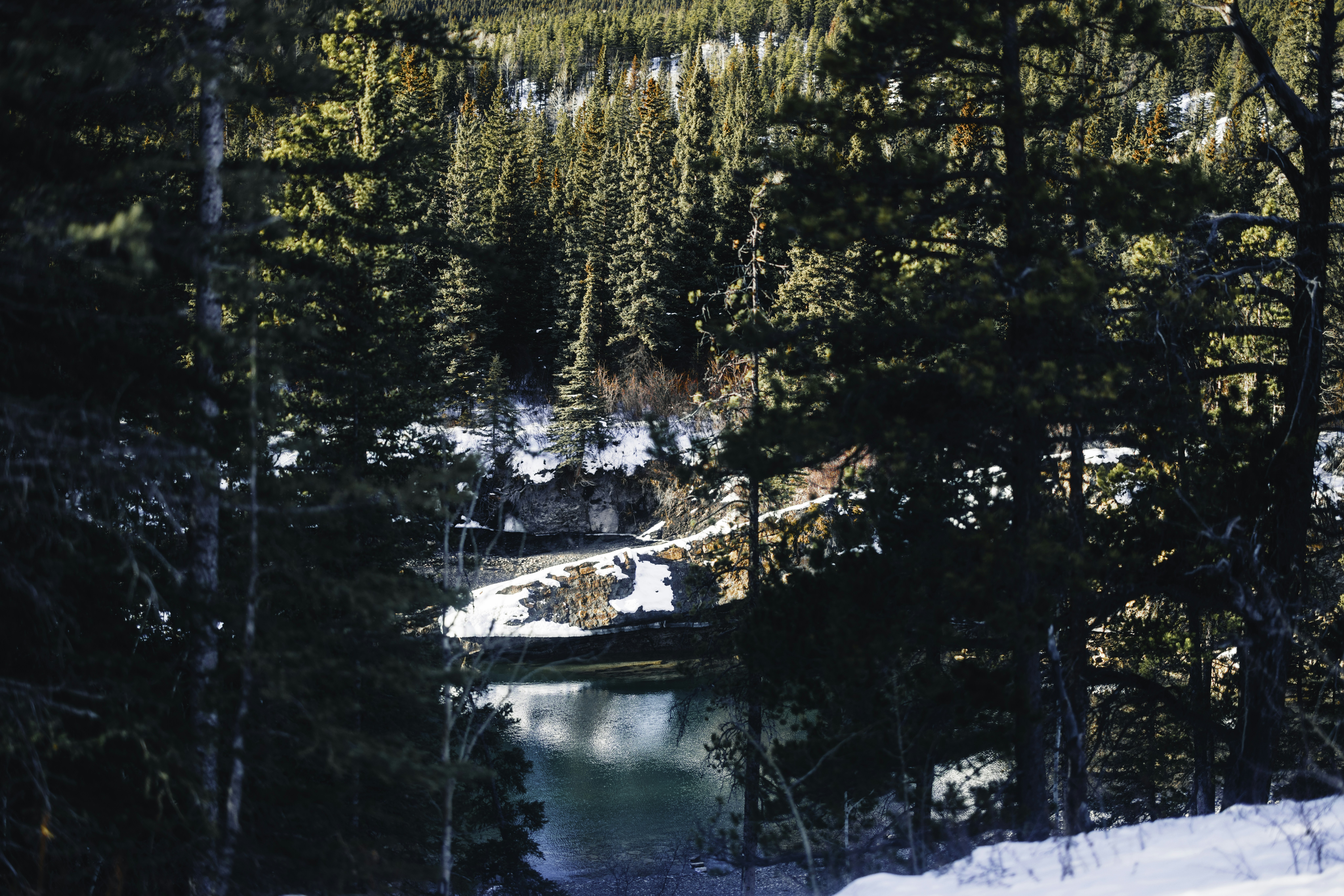 Snow beneath the pines frames a quiet alpine pool