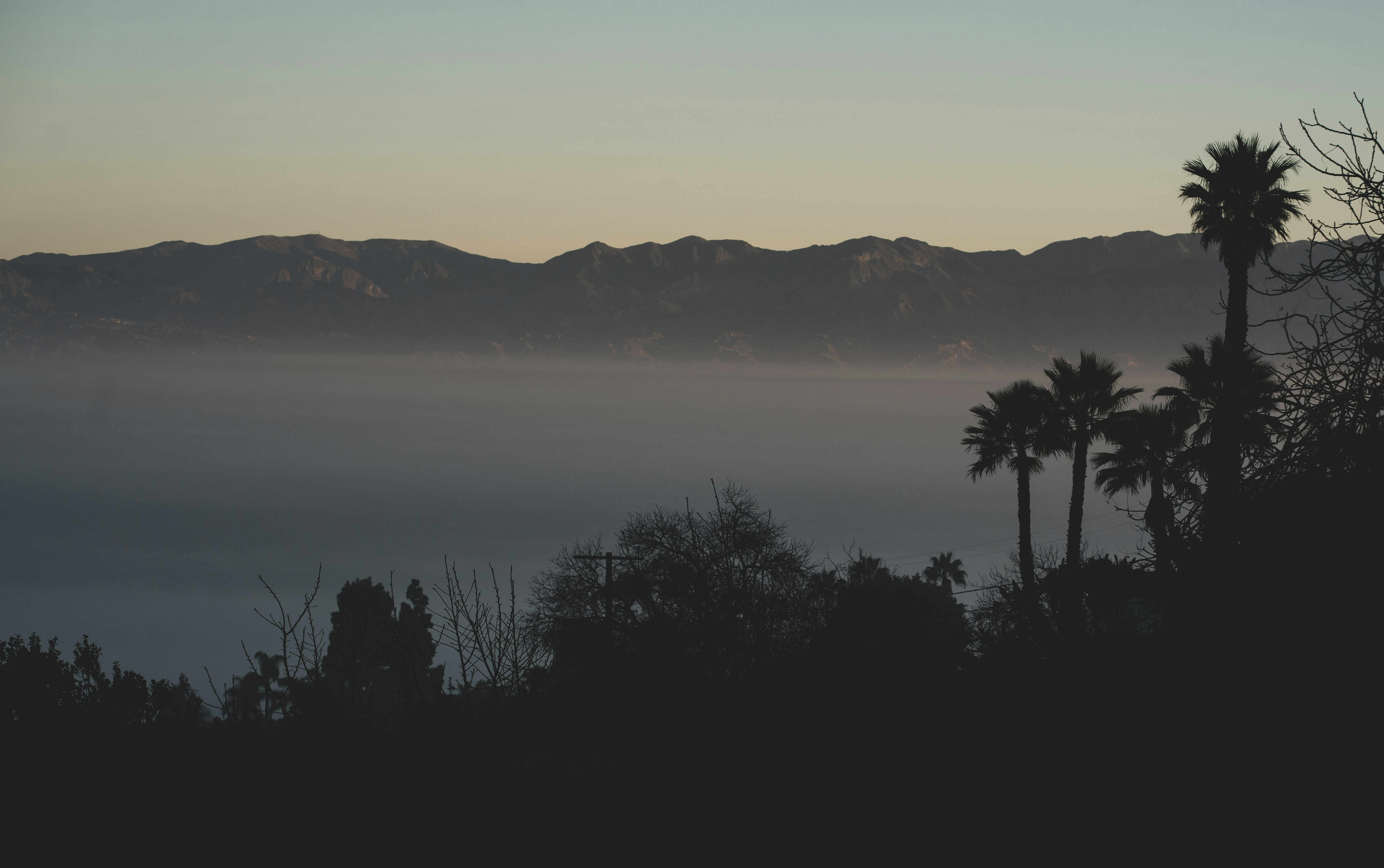 Silhouetted Palms Over Quiet Valleys at Dawn