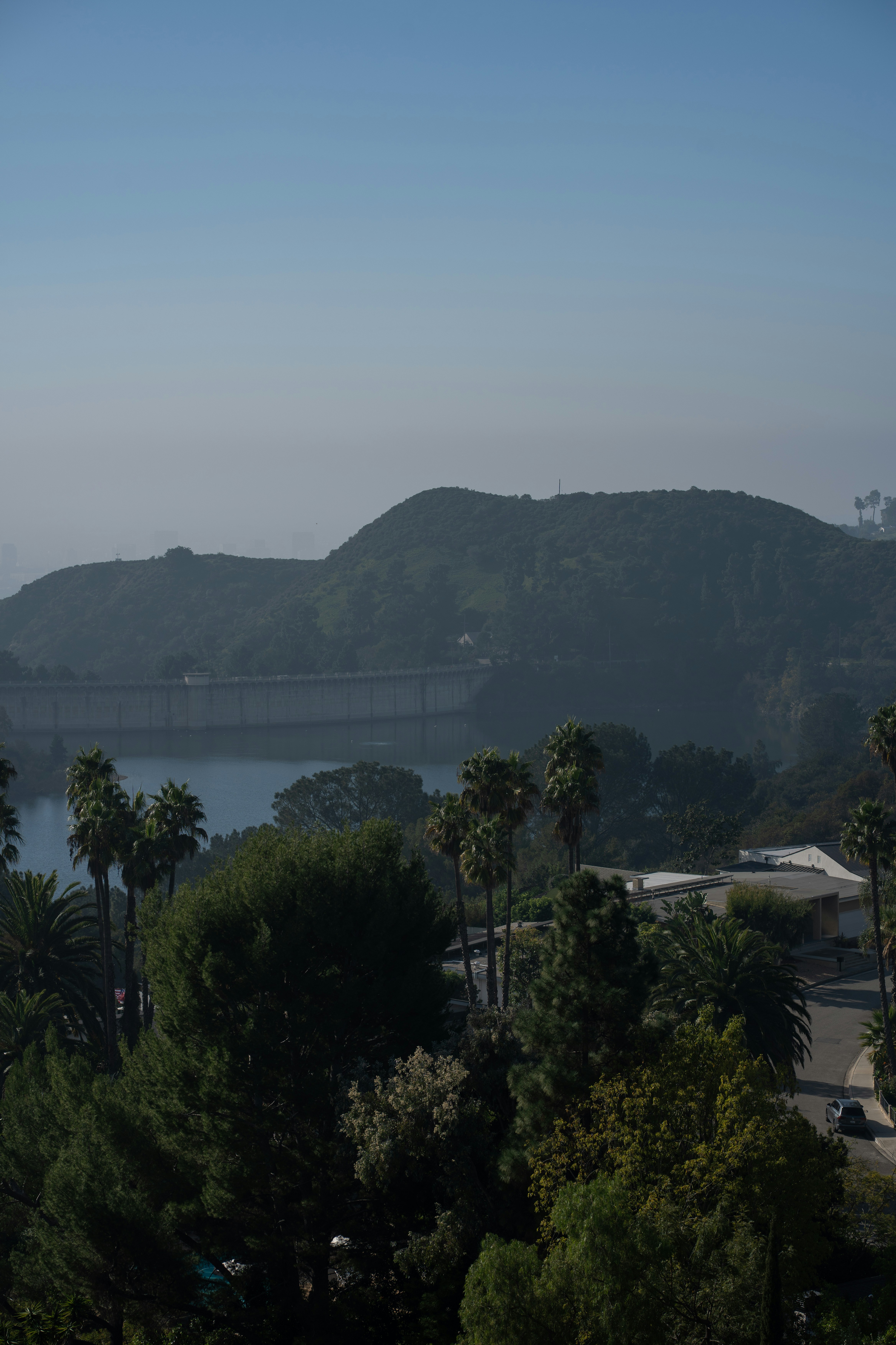 Palm-lined hillside over calm water under early haze
