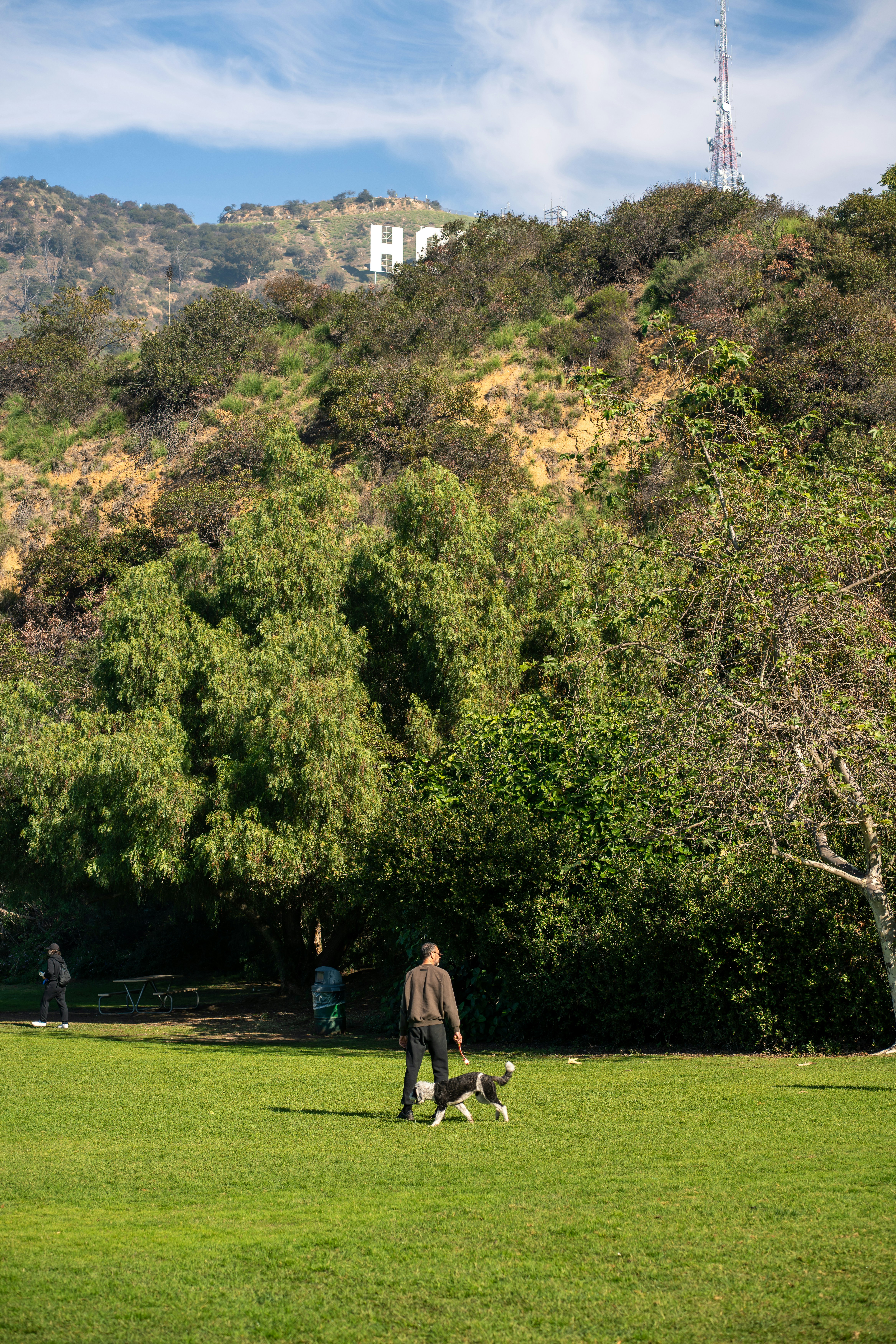 Gentle Park Stroll Under the Hillside Hill