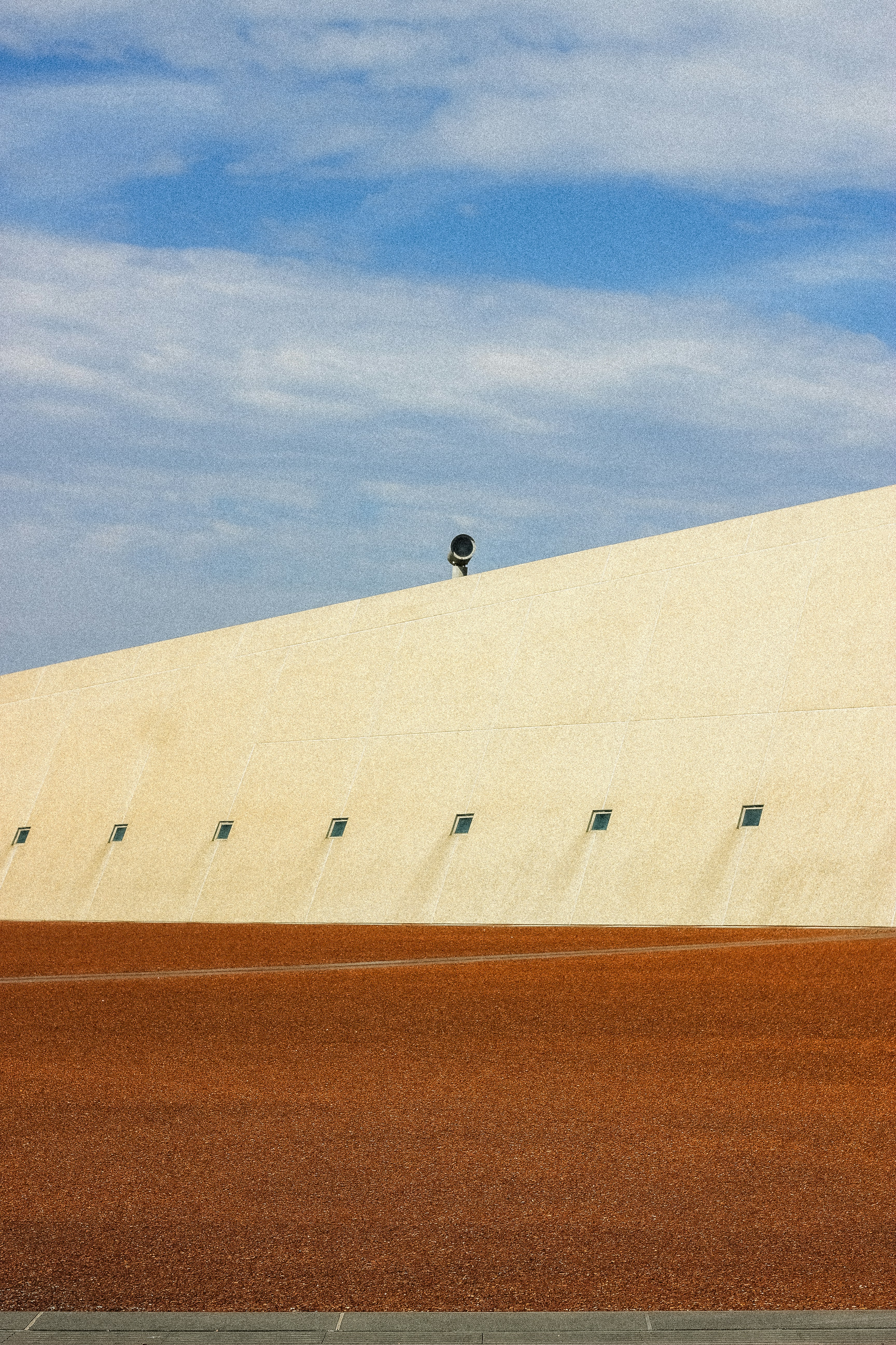 Overhead Watch: A Quiet Sentinel on a Sunlit Terrace