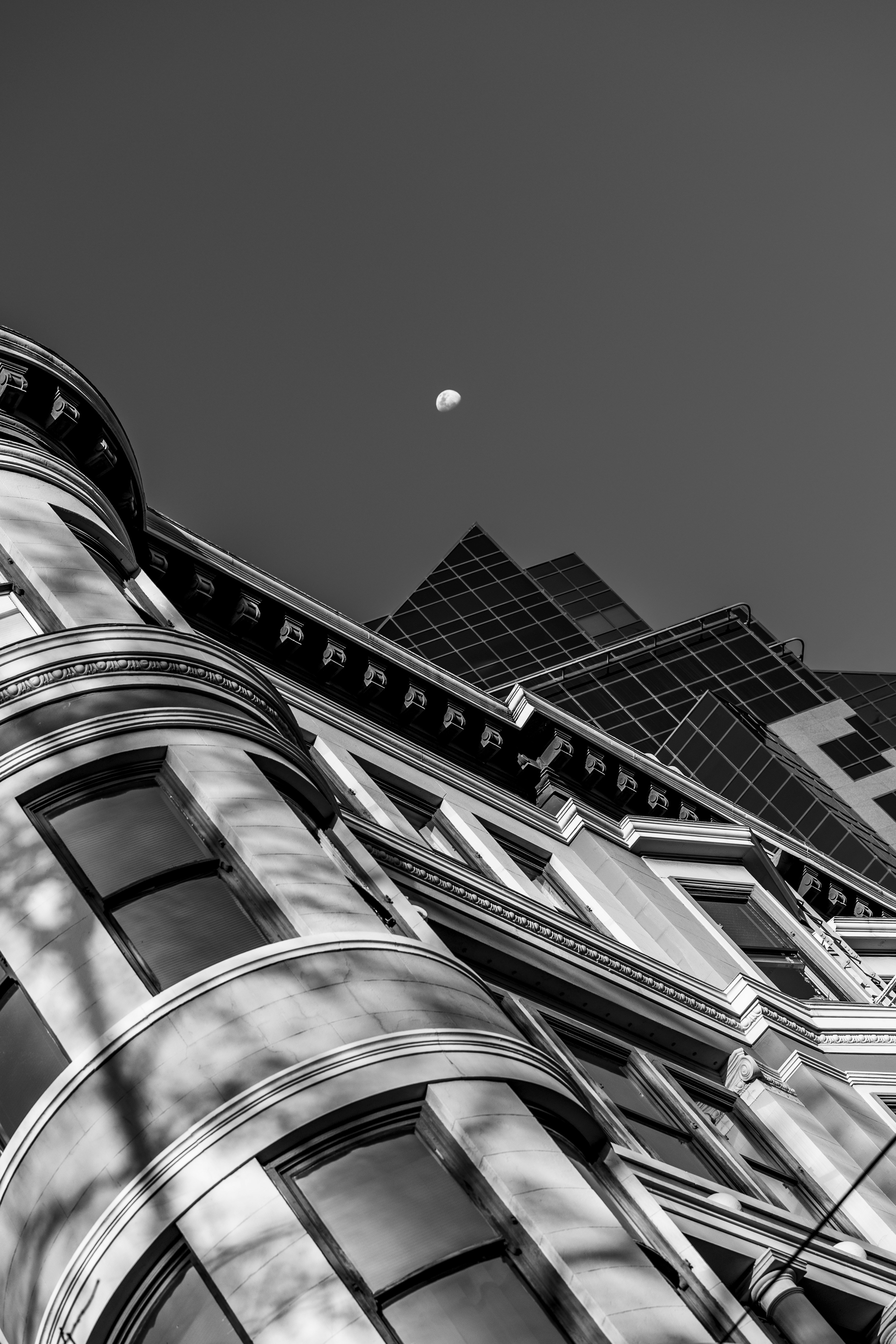 Opposing Facades: A Tilted Portrait of Urban Limestone and Glass