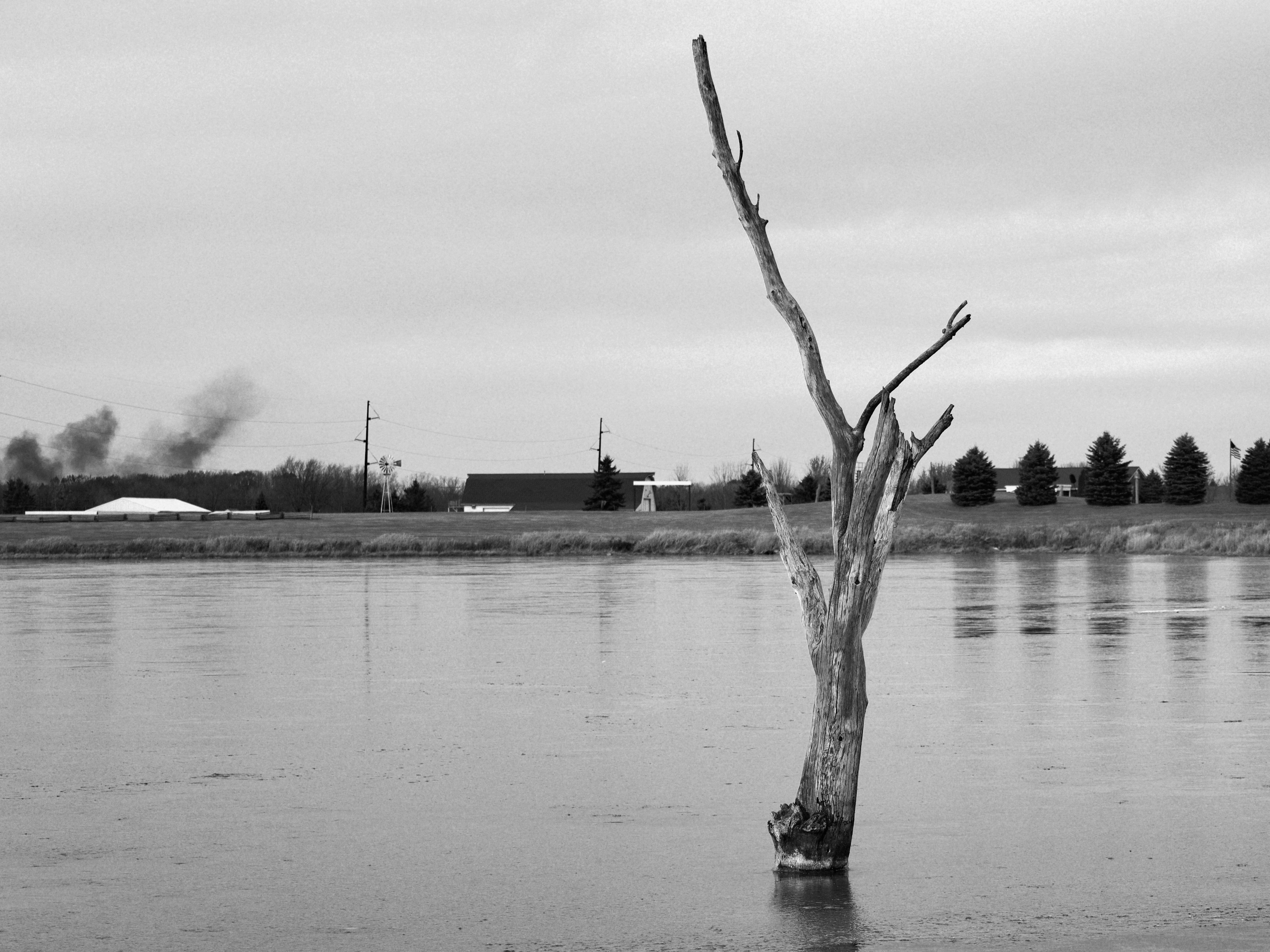 Dead Tree Sentinel: A lone trunk rising from quiet water at dusk
