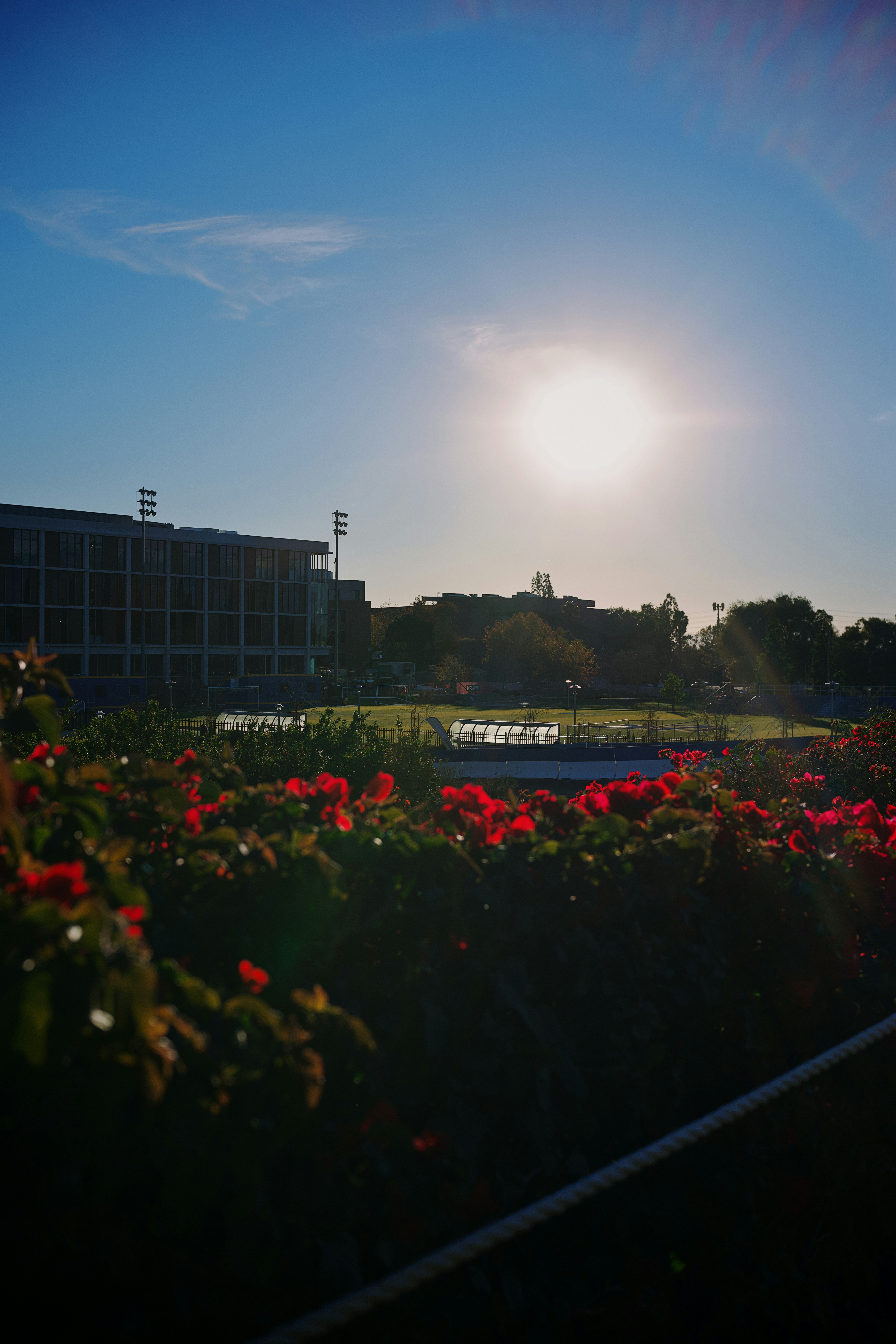 Low Sun, Bright Field: Sunset Over a Campus Sports Ground