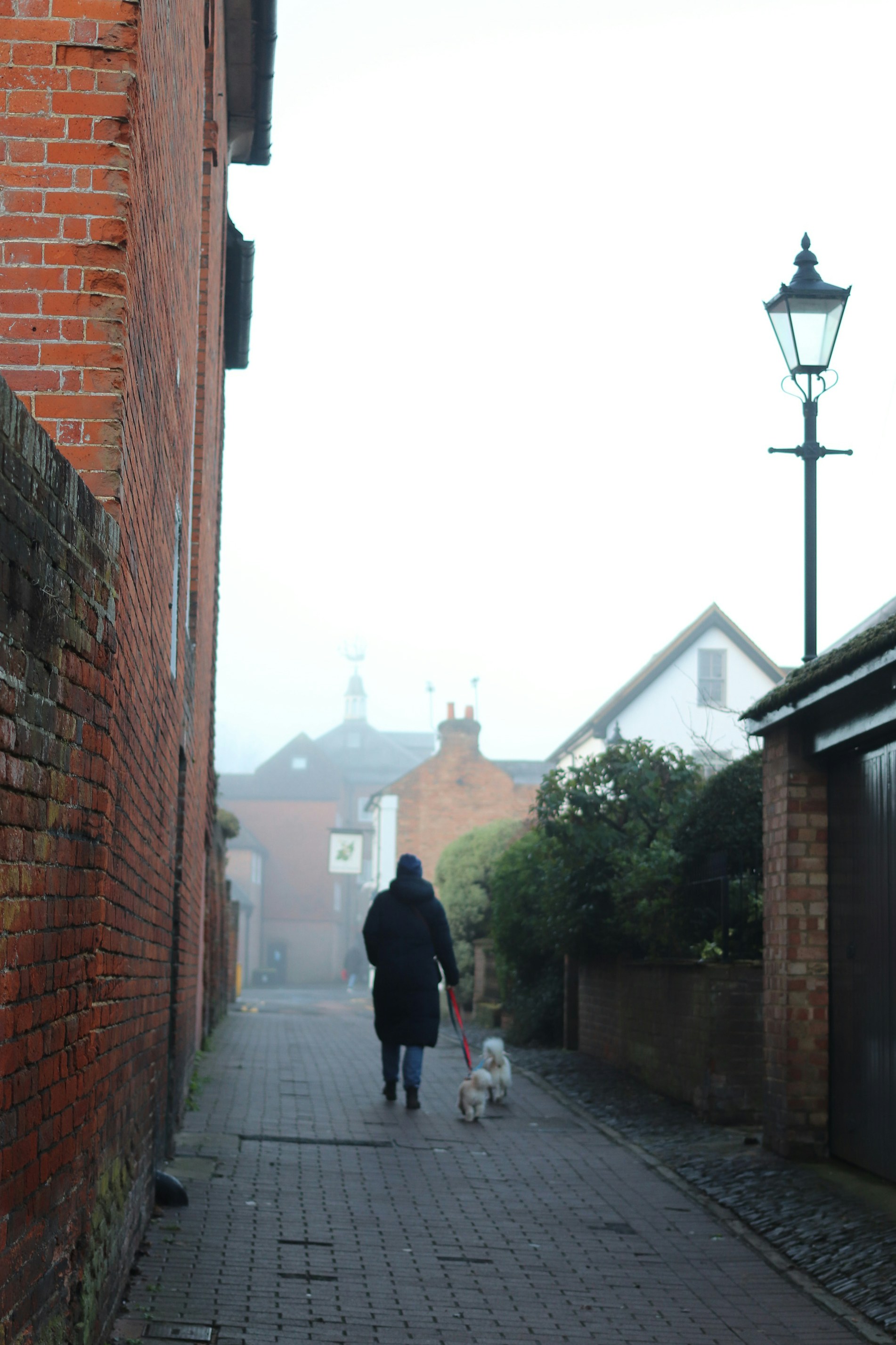 Footpath to Quiet Resolve: A Person and a Dog Under a Misty Street Lantern