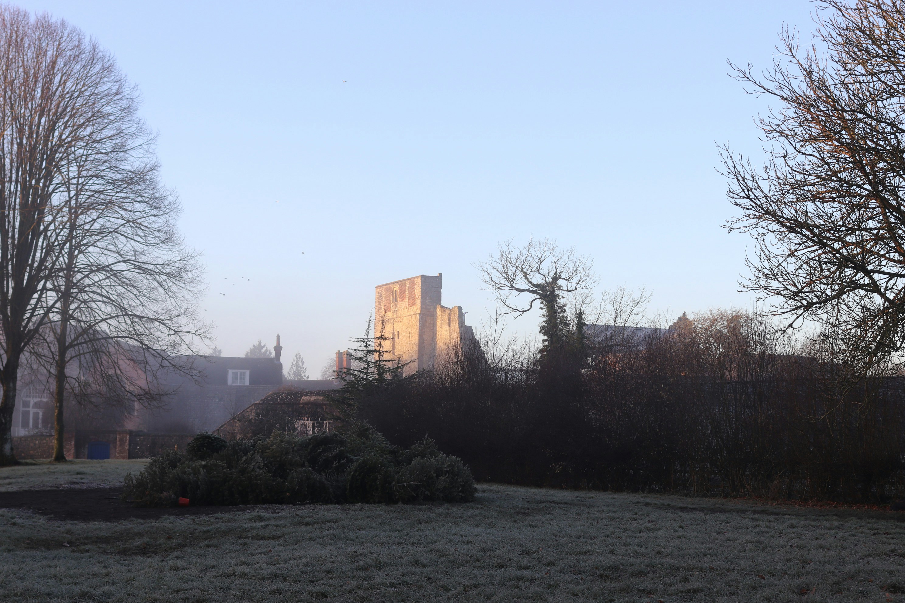Morning Muse over the Frosted Park