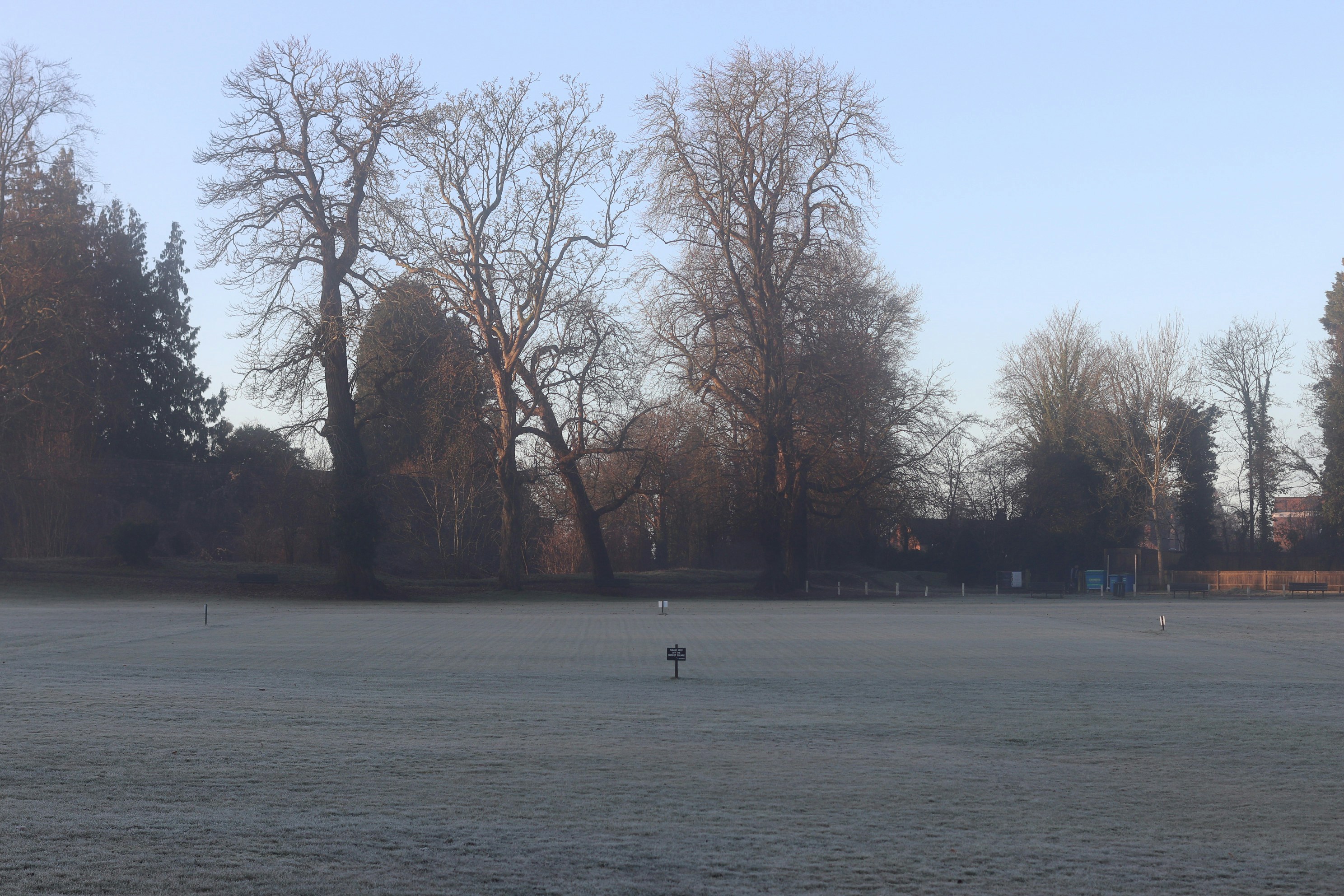 Frosted Lake Edge at Distant Trees