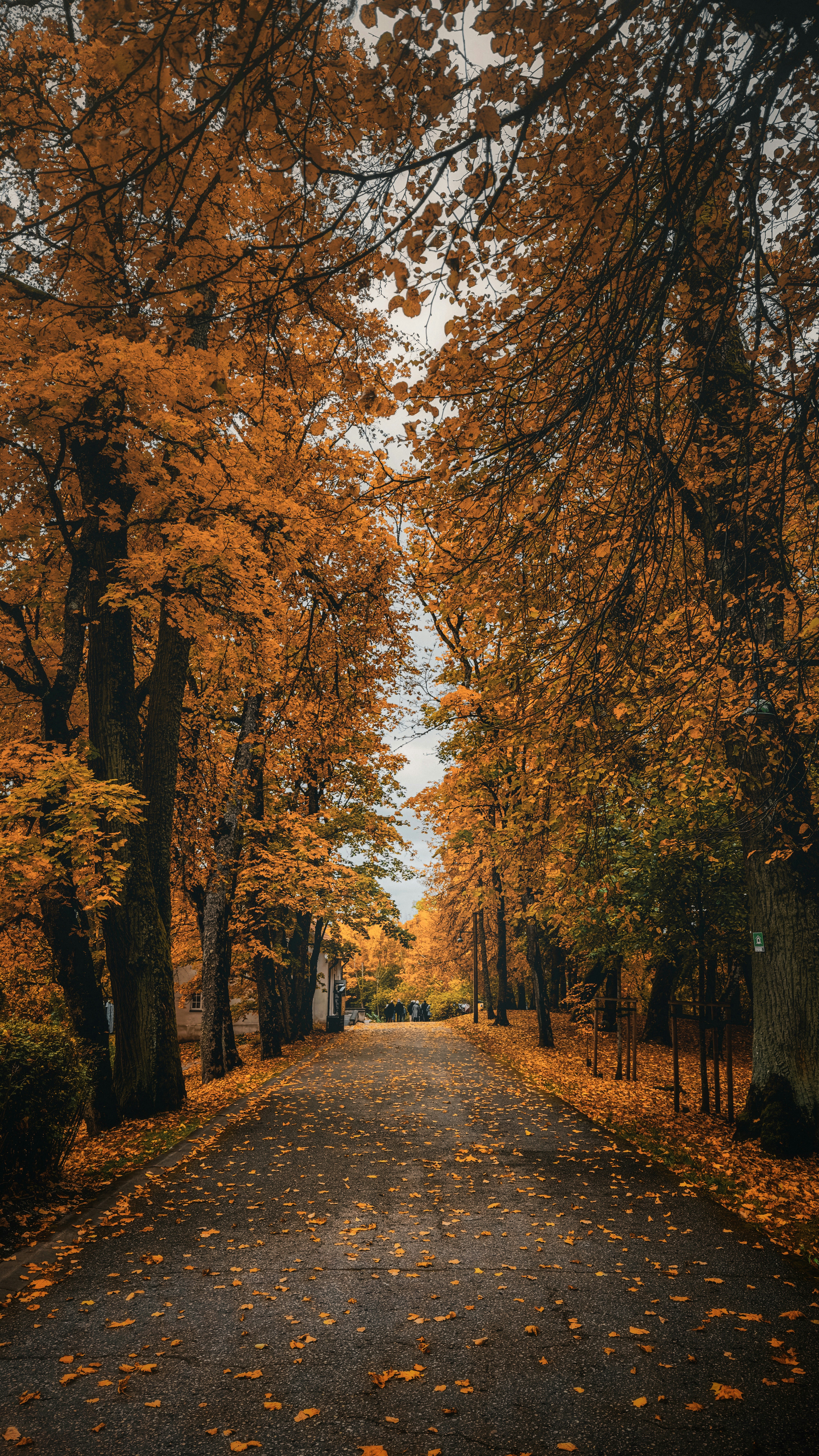Capture (@everydaymoments) | Unsplash Photo Community