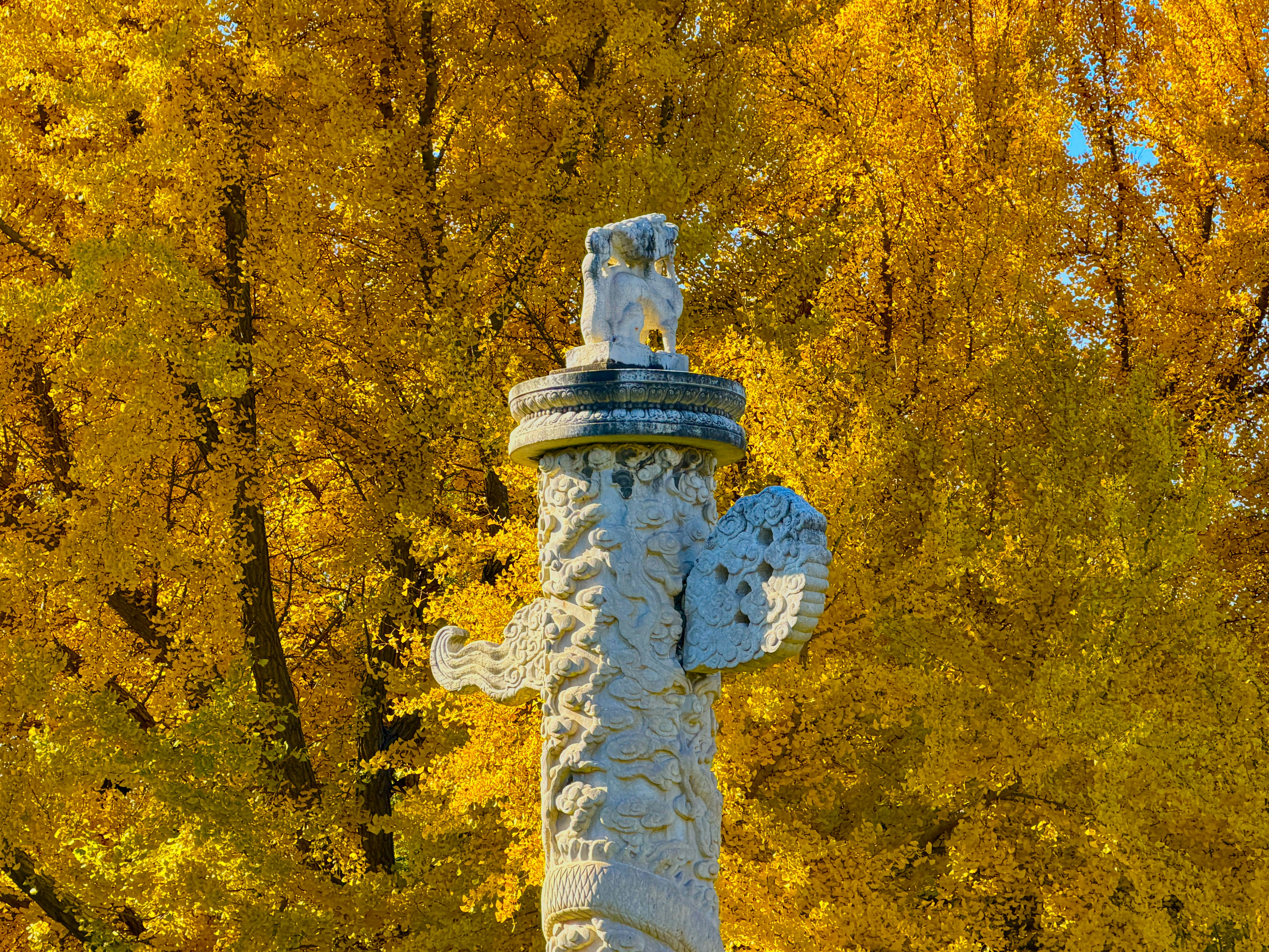 Stone Cross Under Autumn Canopy