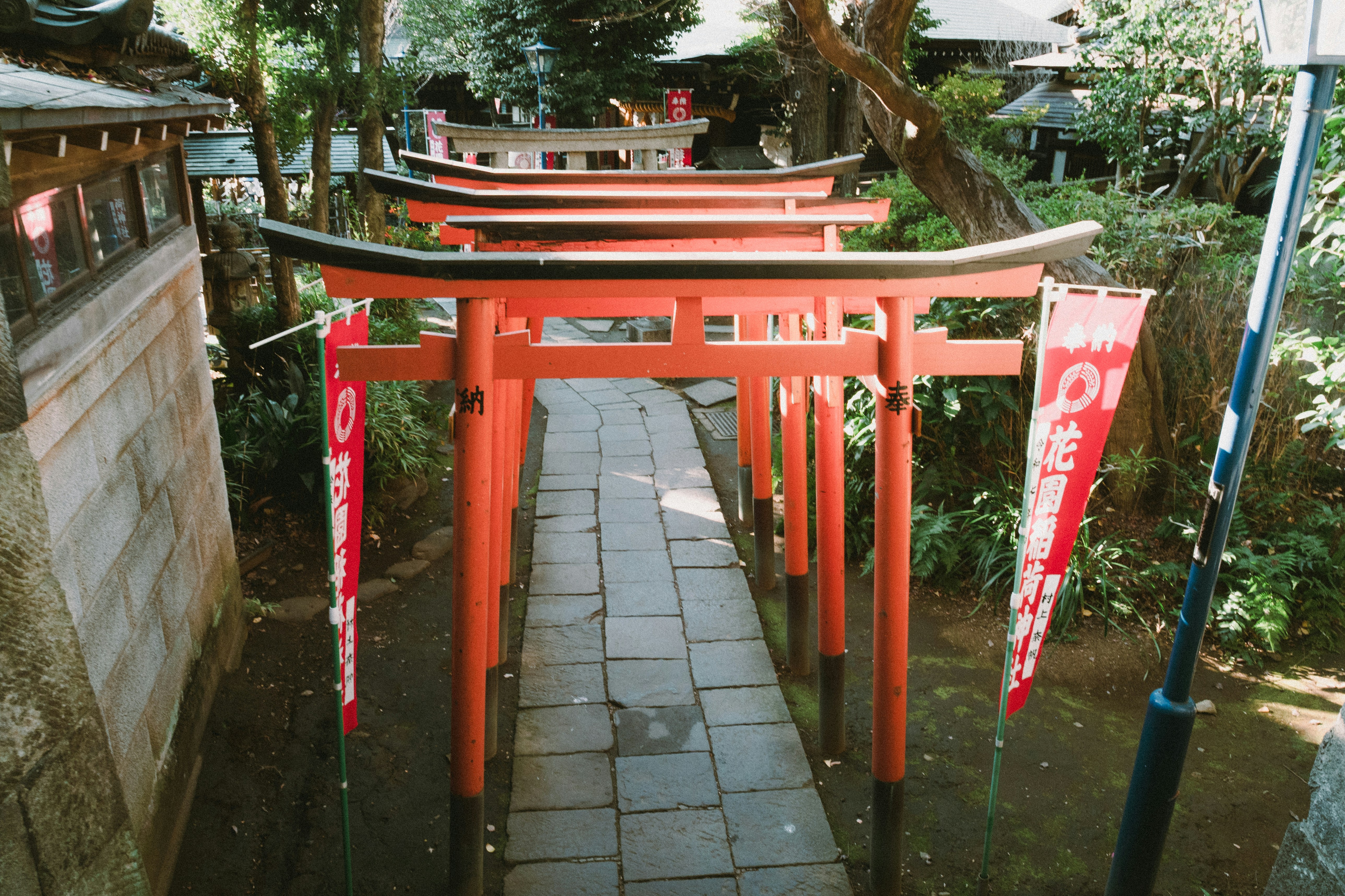 Gateway Lines: A Corridor of Torii into the Greenlight