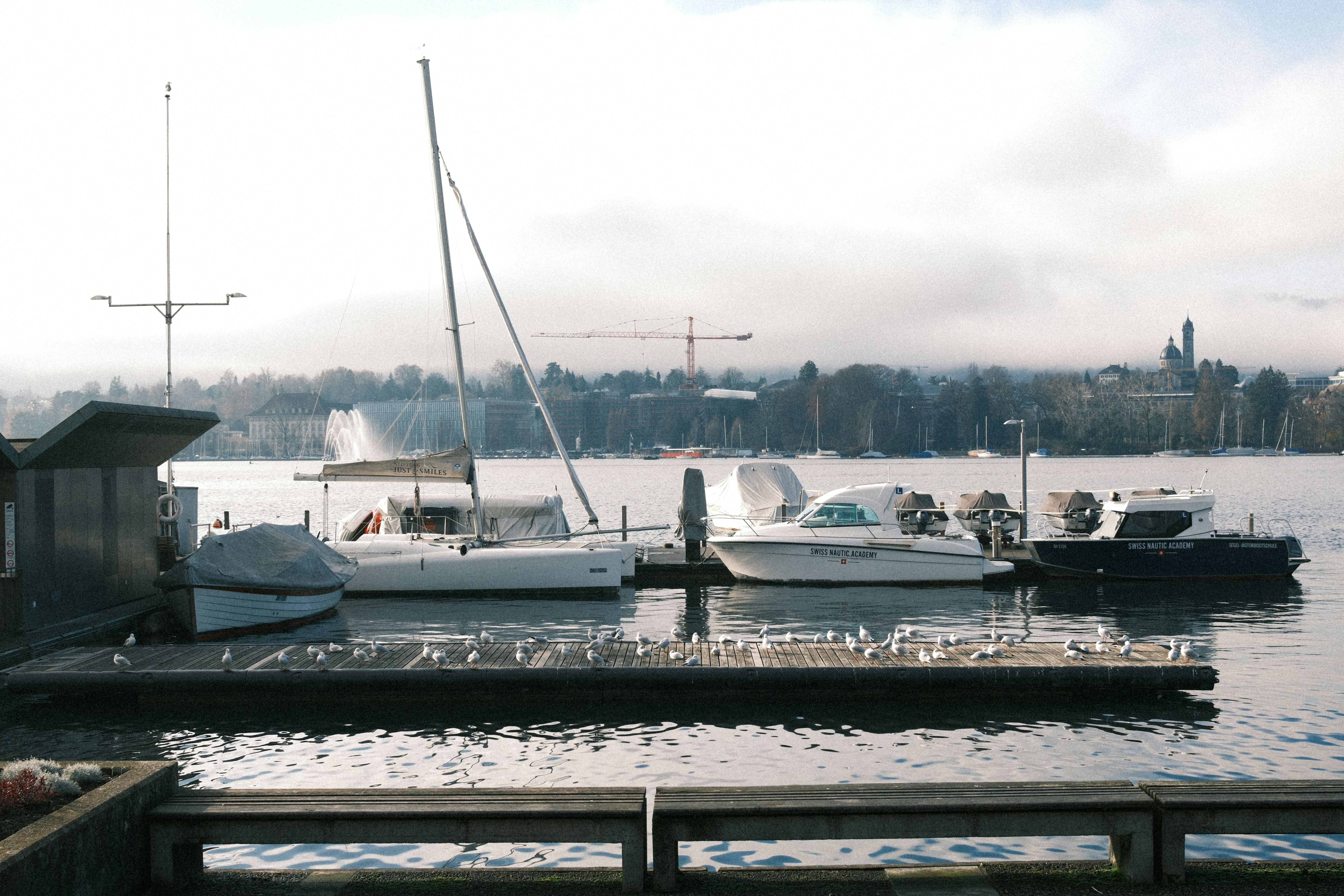 Quiet Marina Veil: Boats Rest Under Early Fog