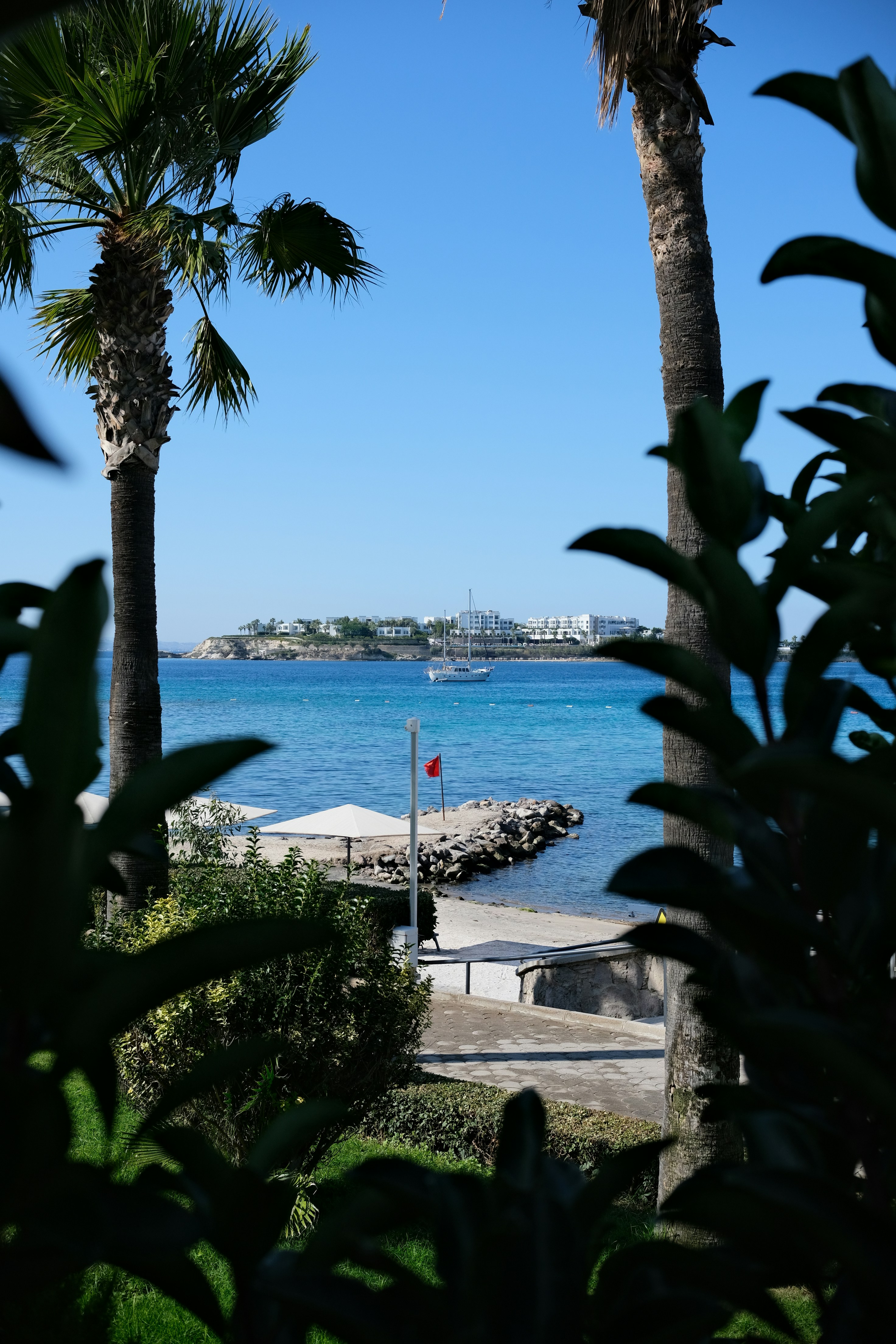 Azure Corridor: Palm Fronds Framing a Quiet Seaside