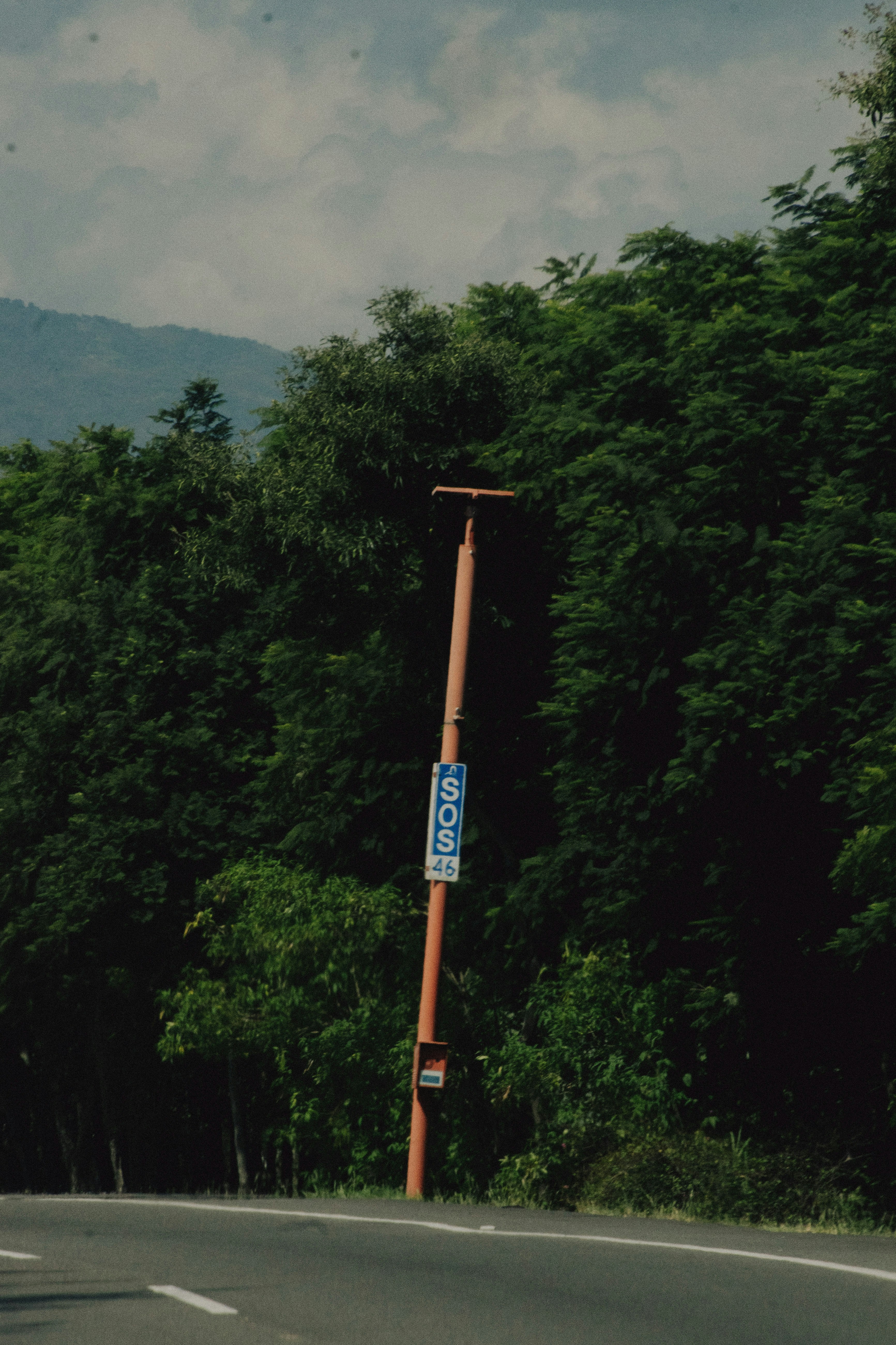Orange pole with sos sign by lush green trees photo – Free Scenic Image ...