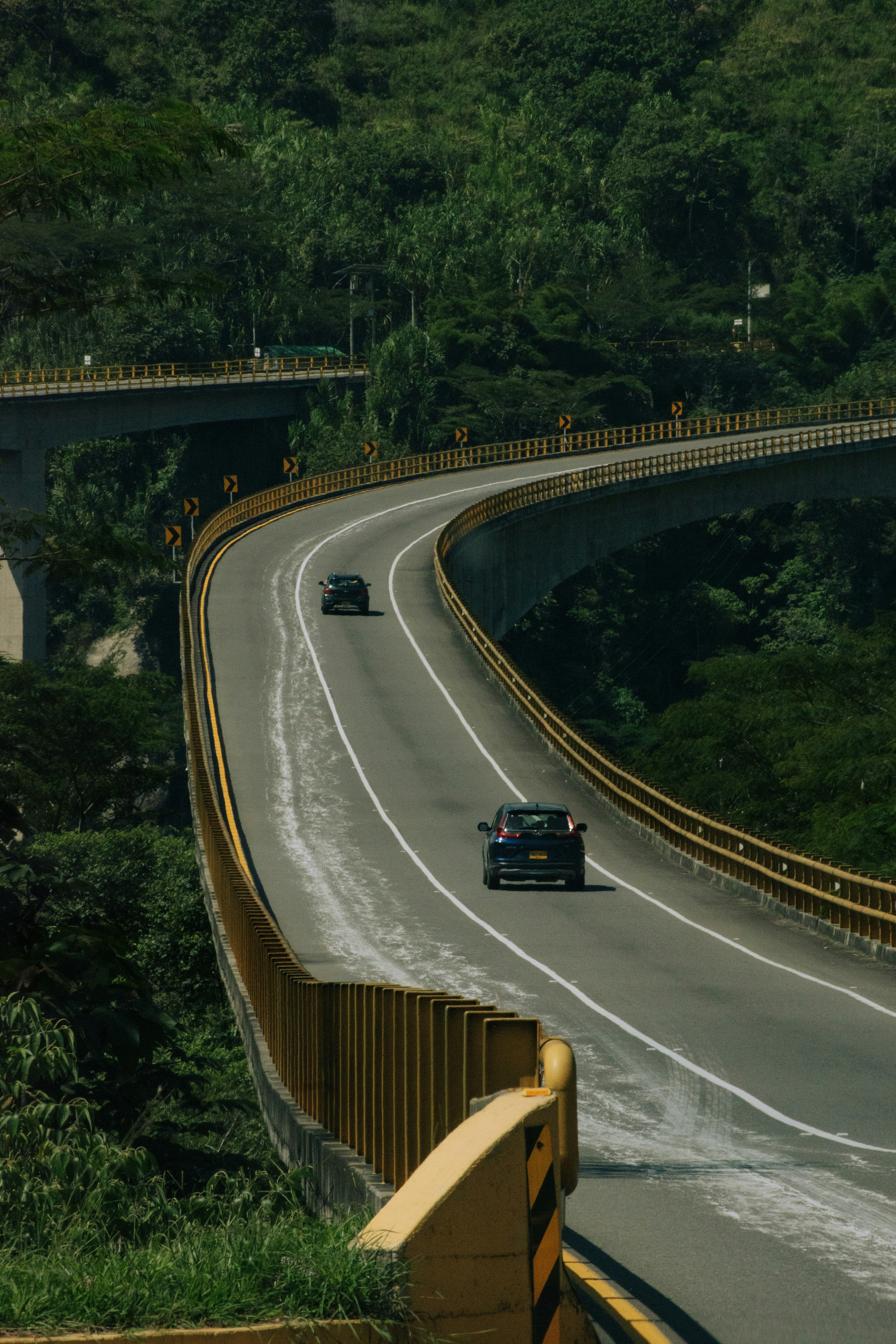 Curved Highway Between Green Walls