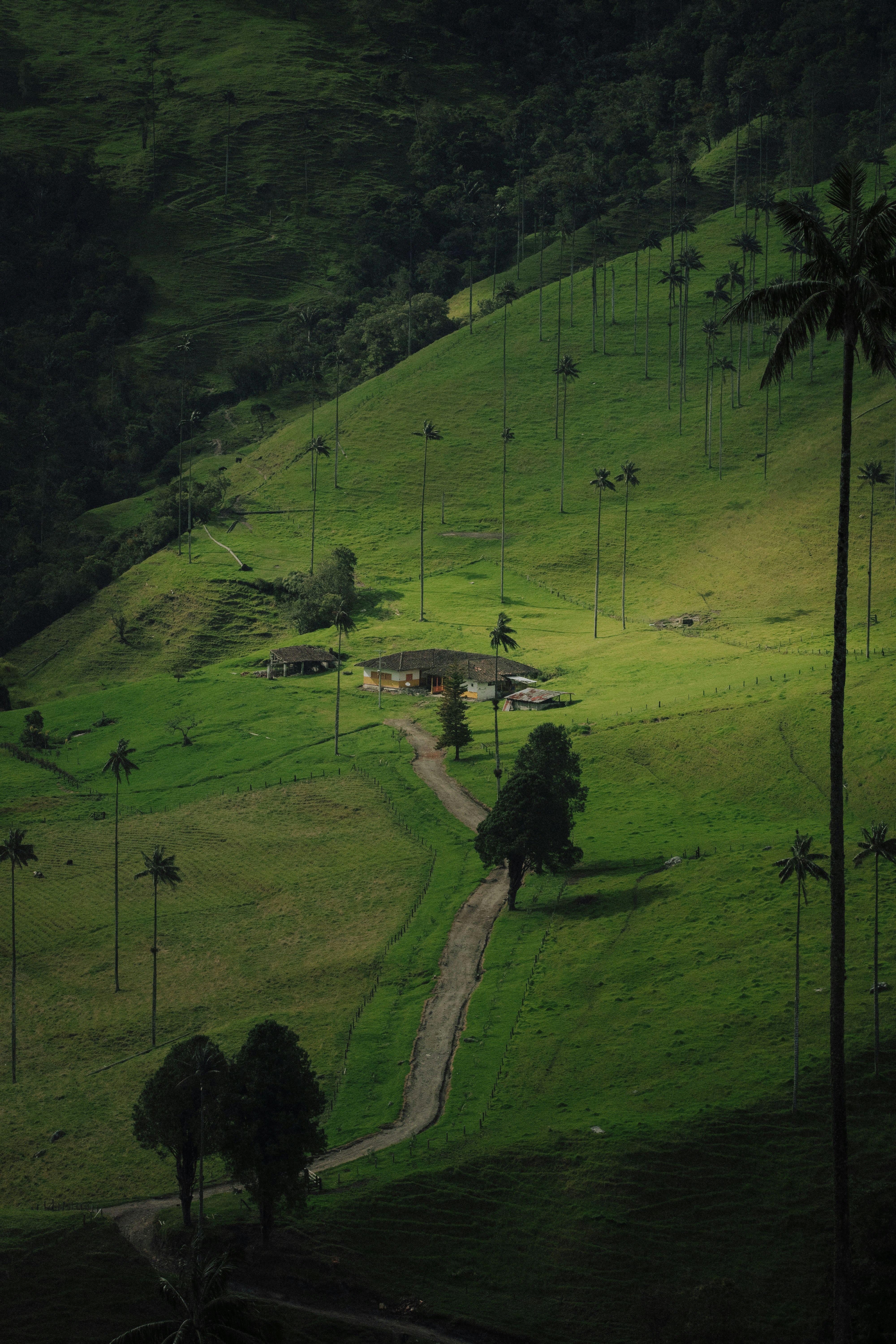Verdant hillside hamlet tucked along a winding lane
