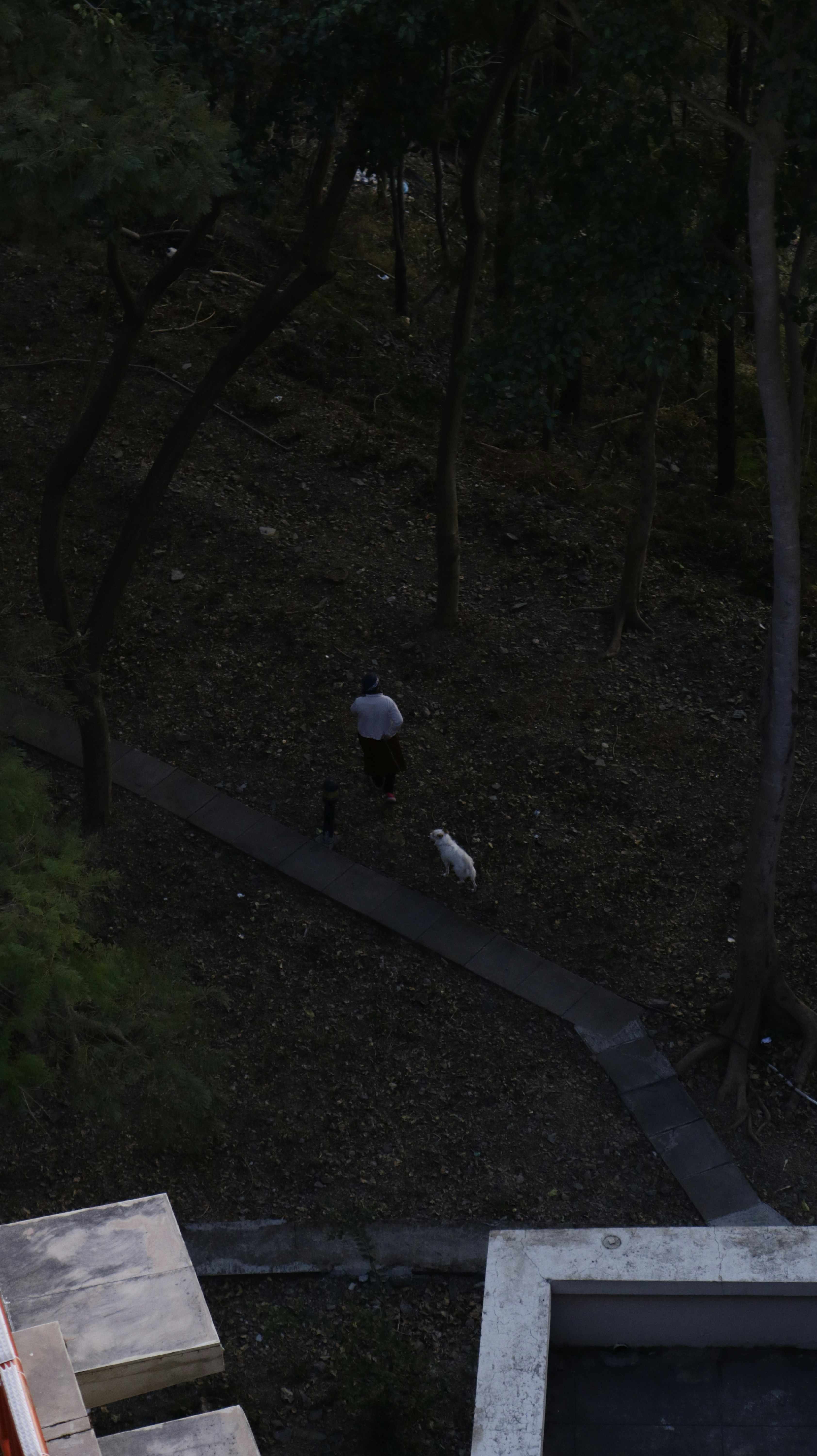 Evening Stroll on the Cliff Path