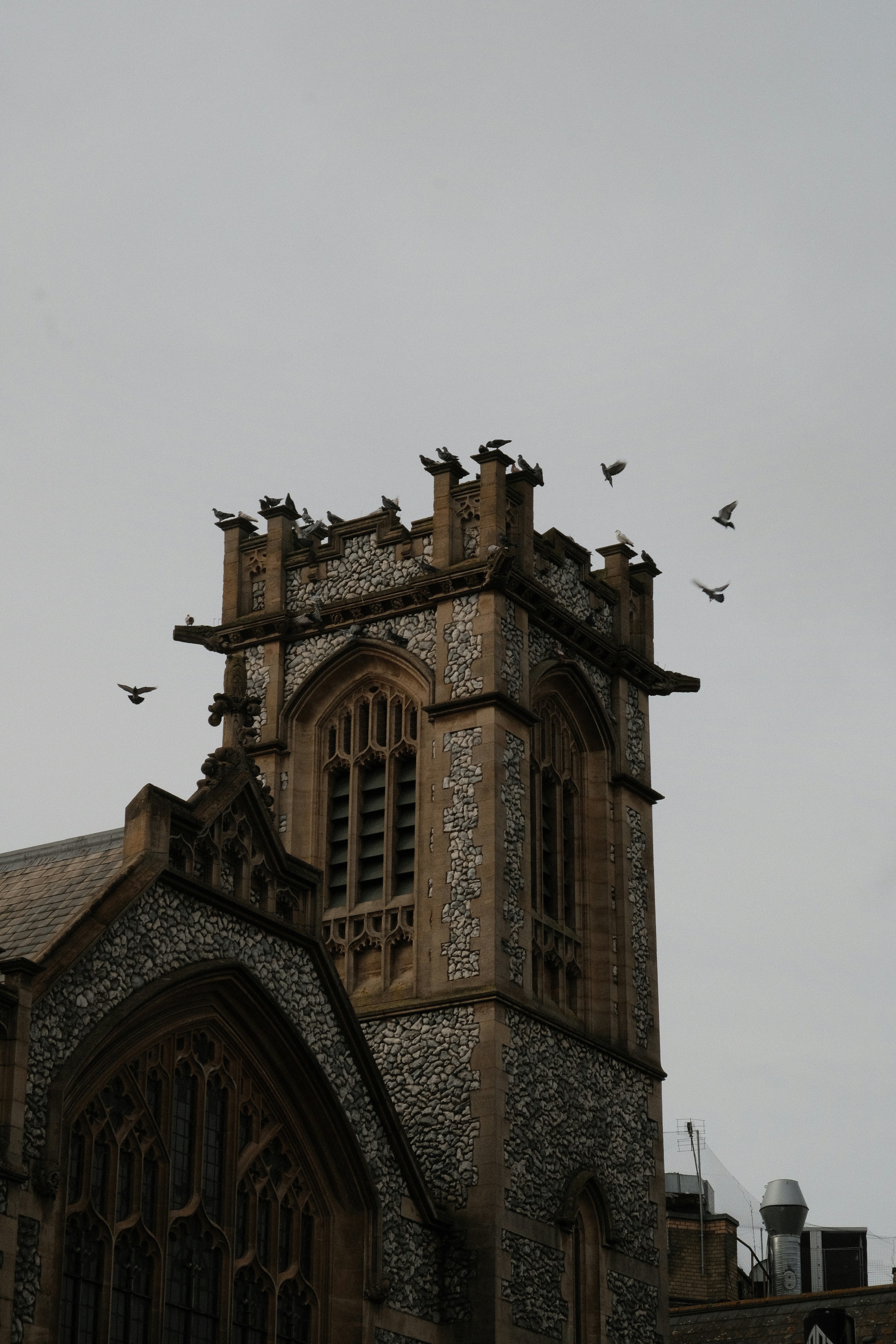 Gothic Tower in Flight: Birds Over Stonework