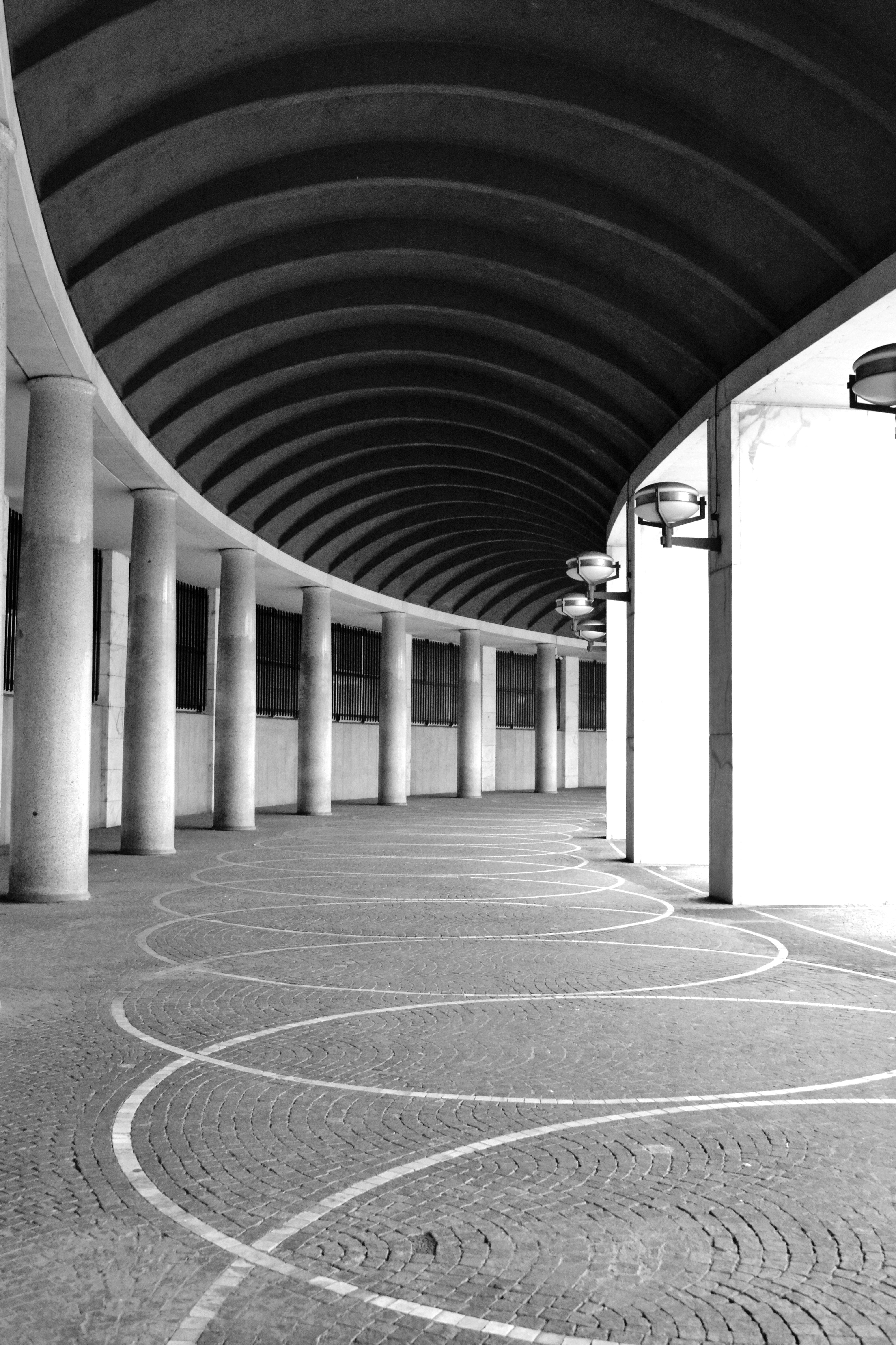 Curved Colonnade: Repetition and Light in Monochrome