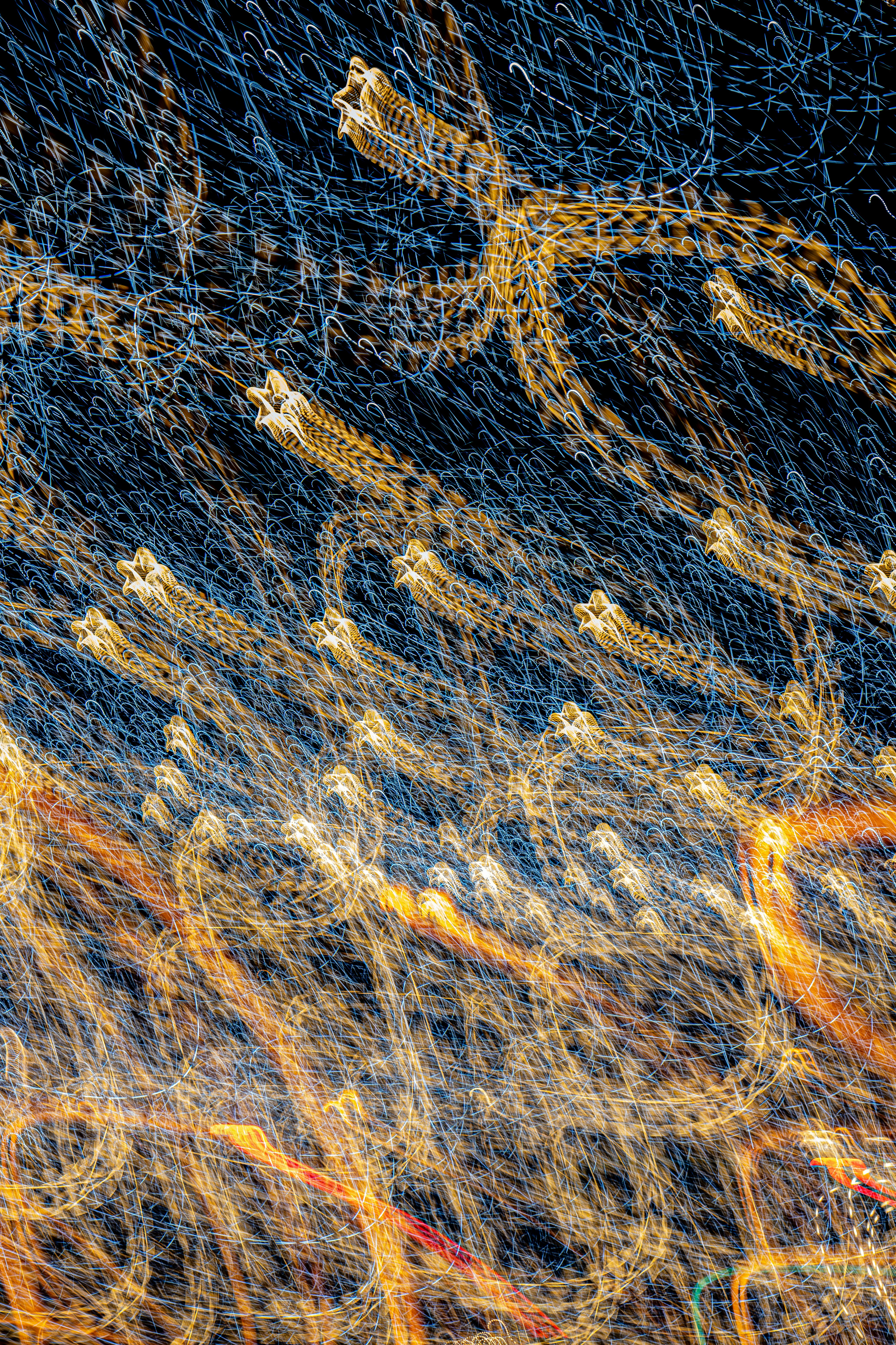 Electric Threadscape: Constellations of Light in a Nightly Tangle