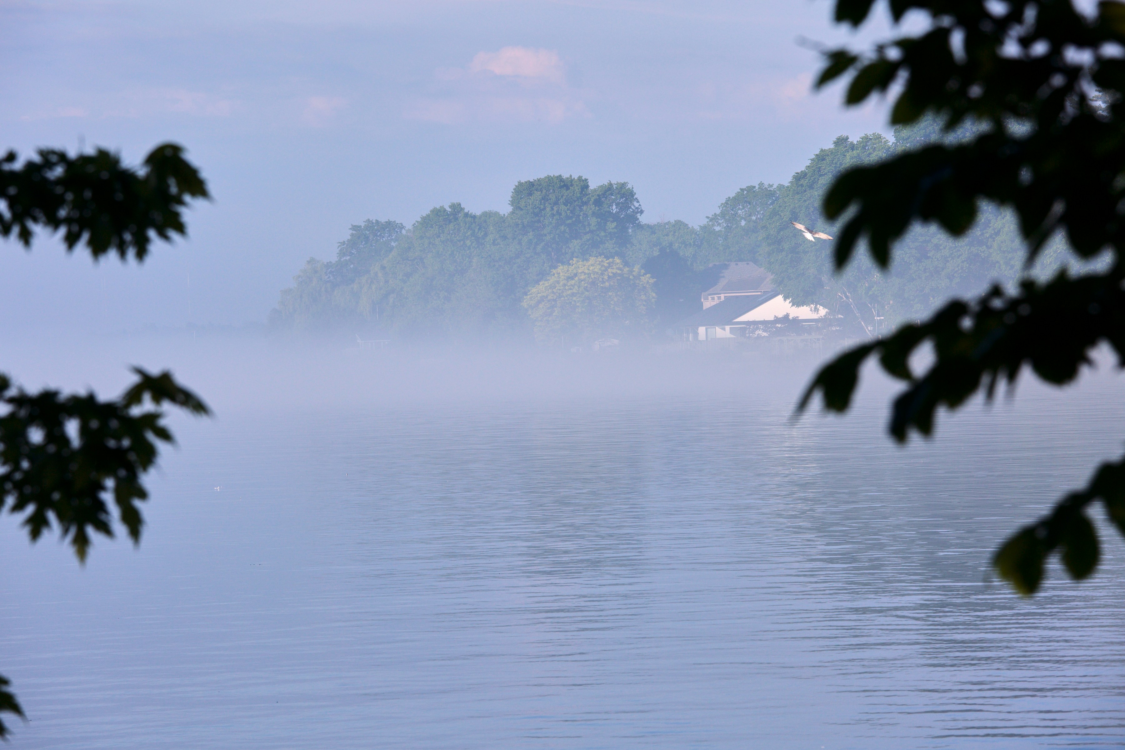 Mist over the Lake: A Quiet Shoreline Emerges Through Early Morning Haze