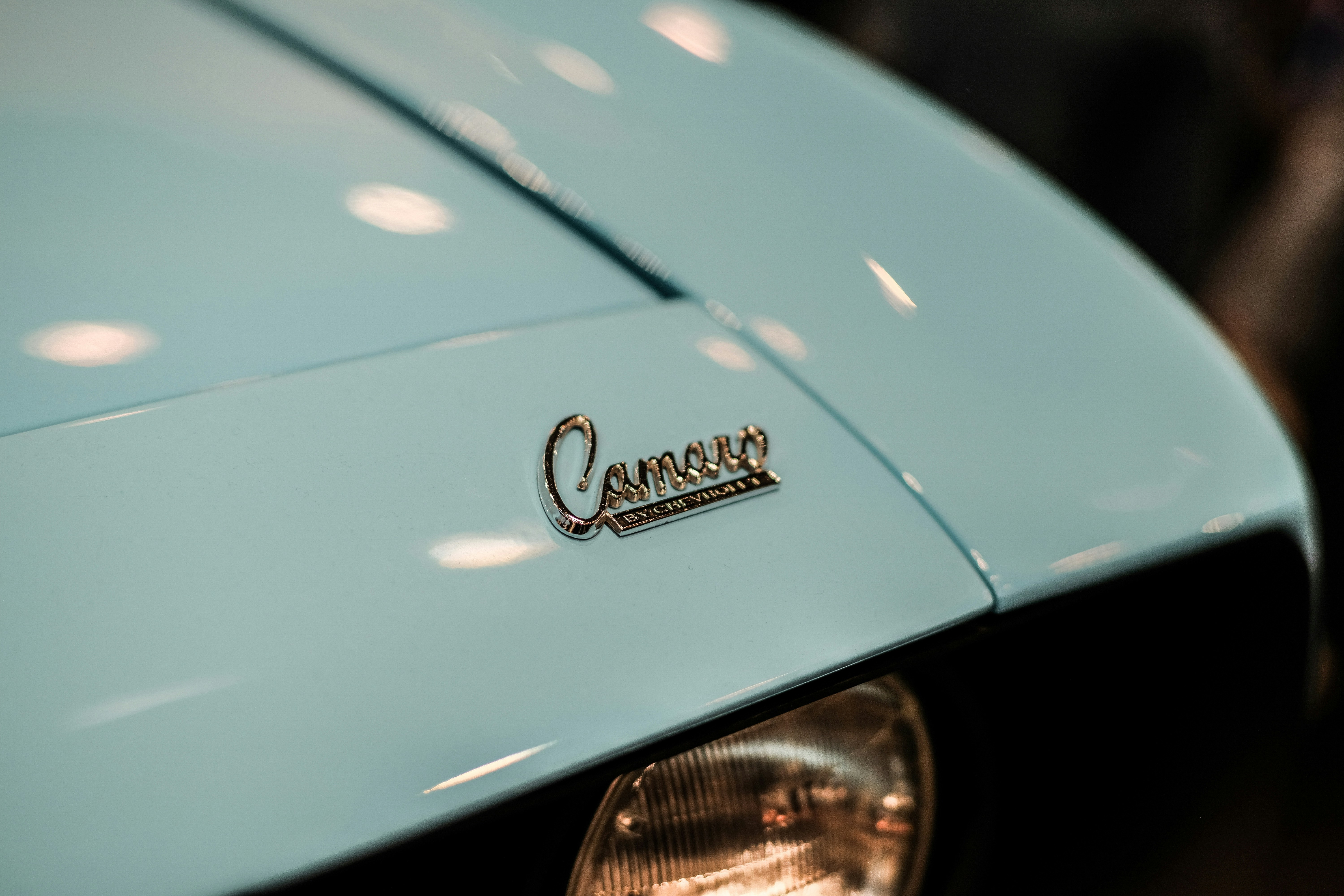 Pastel Curves: The Vintage Camellia of a Classic Car
