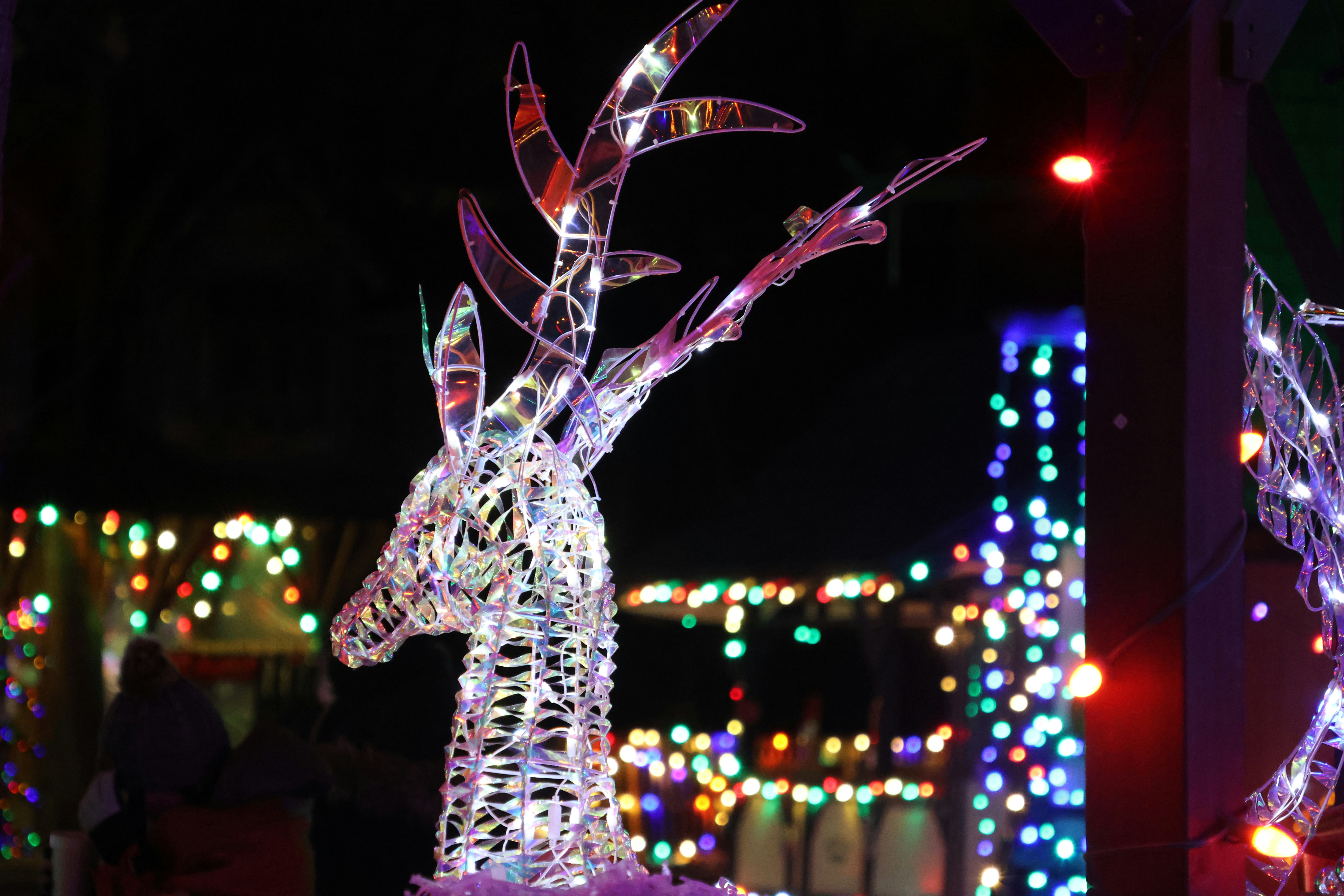 Illuminated Reindeer centerpiece under festive night lights