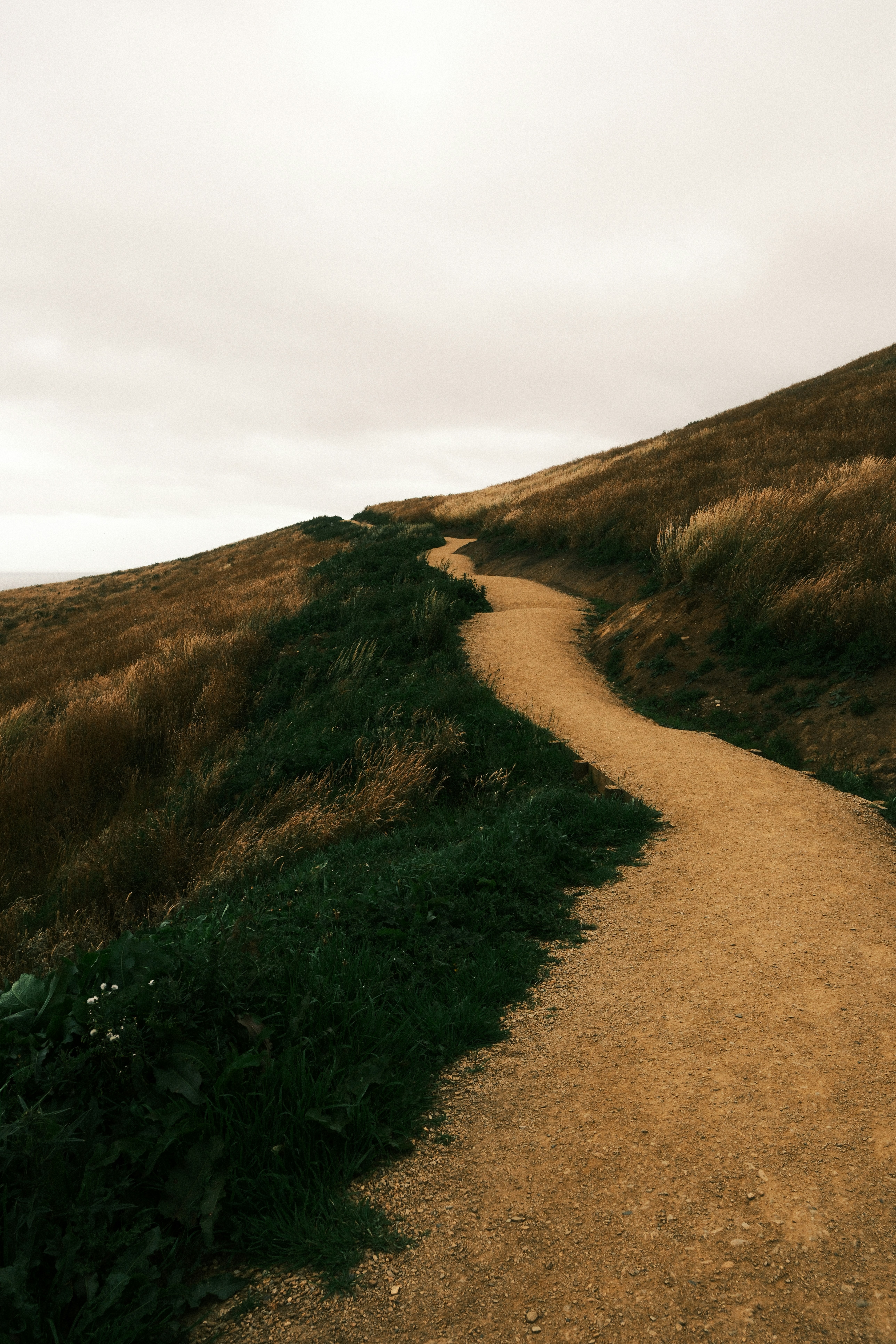 Trail Winding Toward the Quiet Horizon