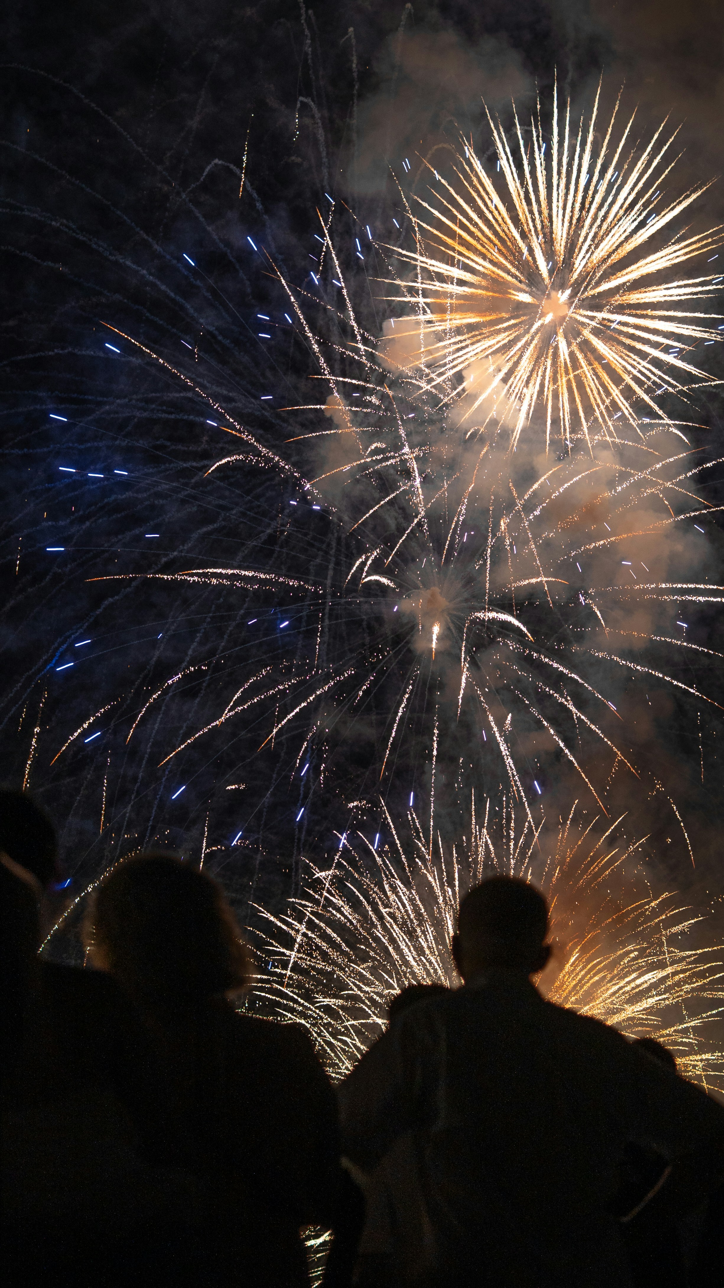 Midnight Skybursts: Spectators Beneath the Firework Cathedral