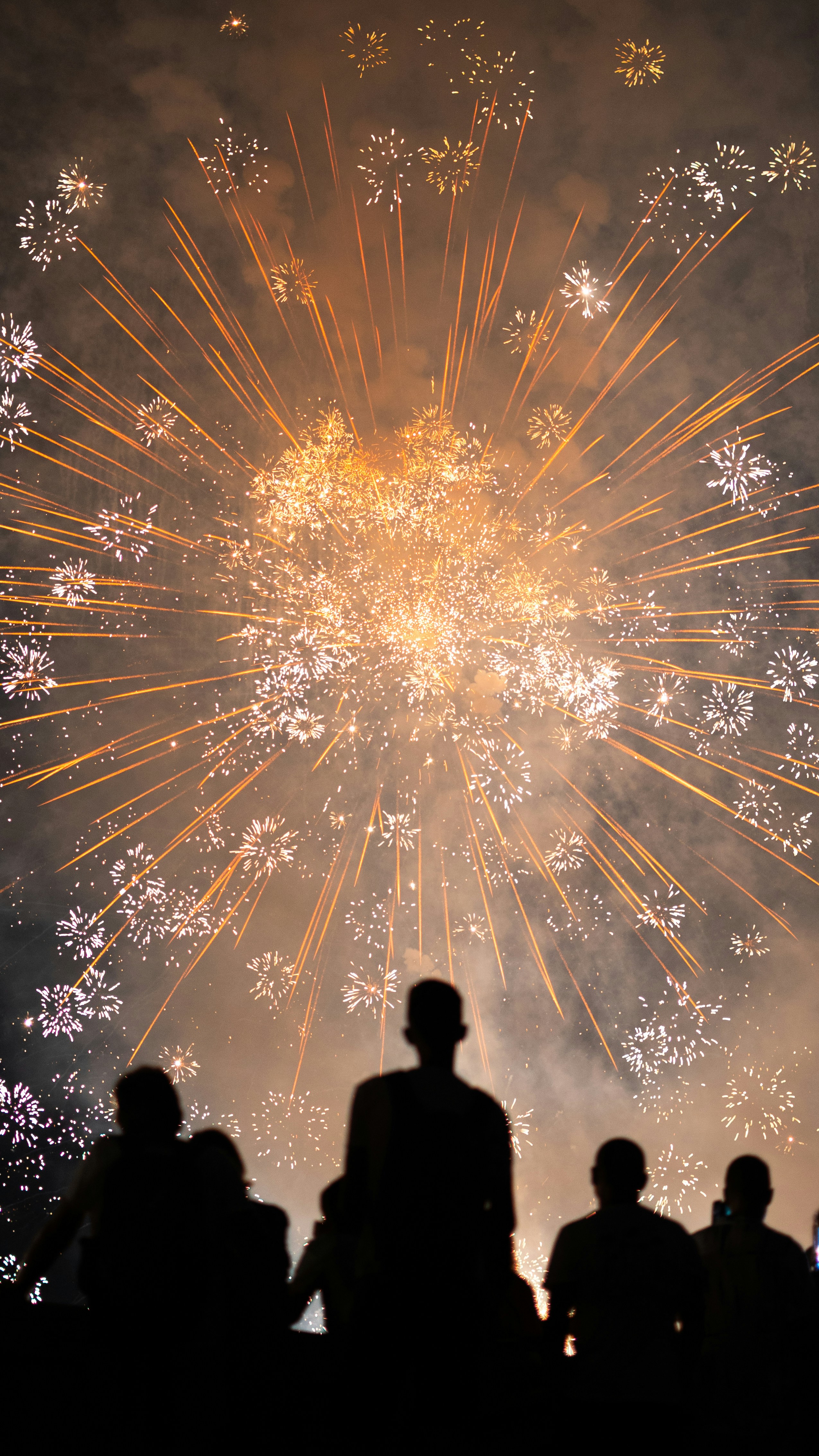 Skyburst Echoes: Silhouettes Beneath a Golden Fireworks Dome