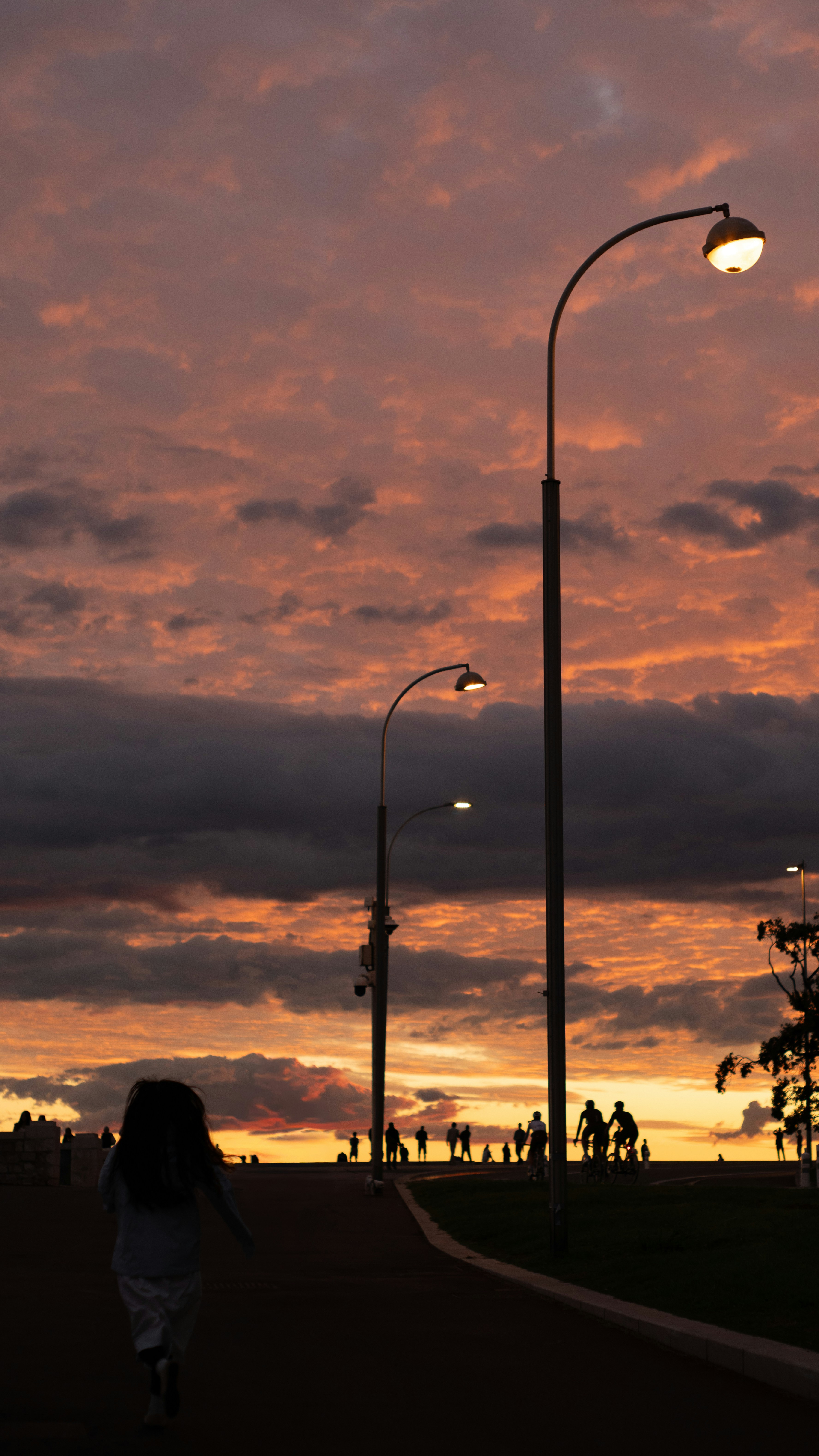 Dusk Promenade: Streetlights and Silhouettes Along the Horizon