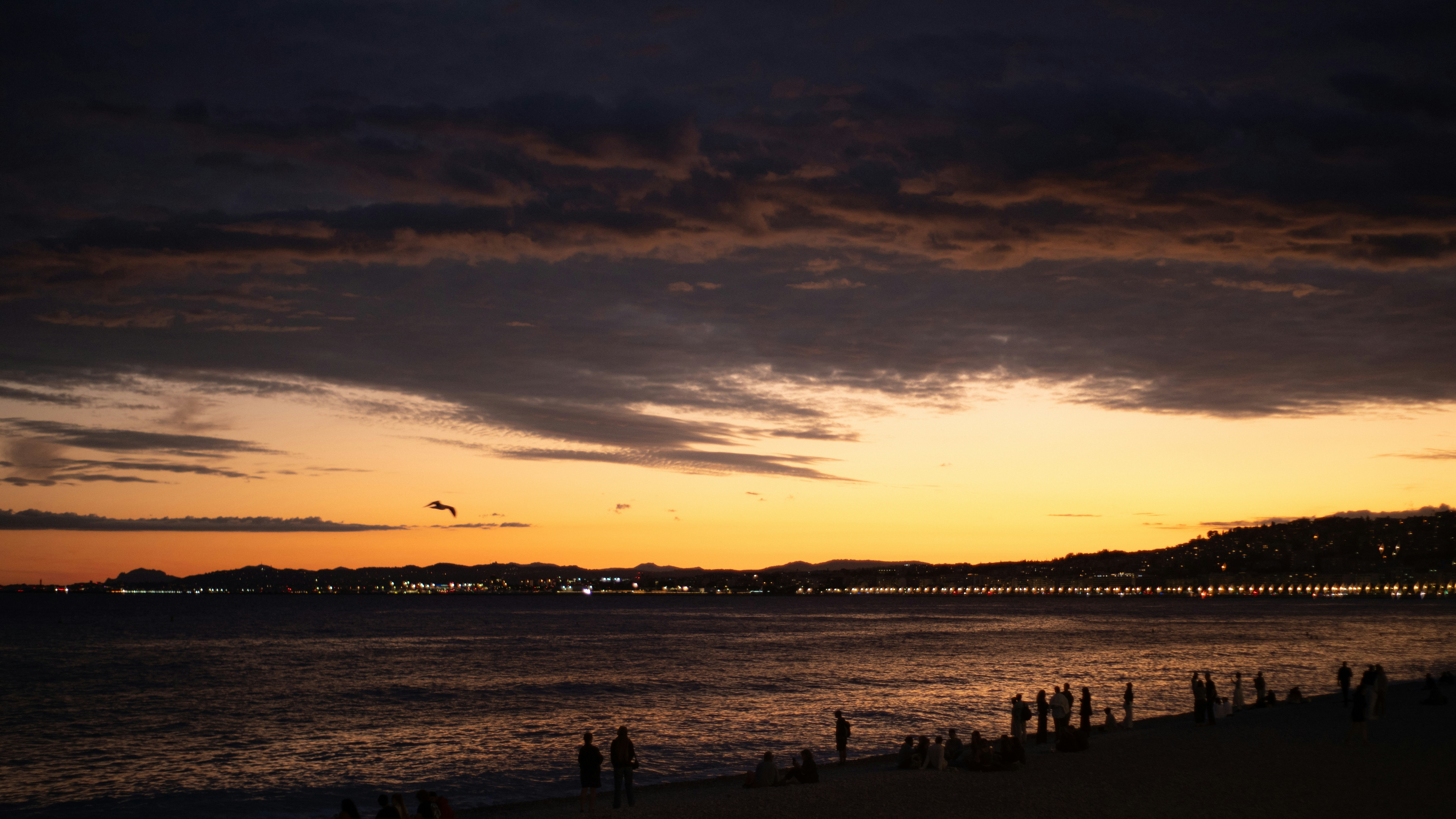 Twilight shoreline silhouettes meet a calm harbor horizon