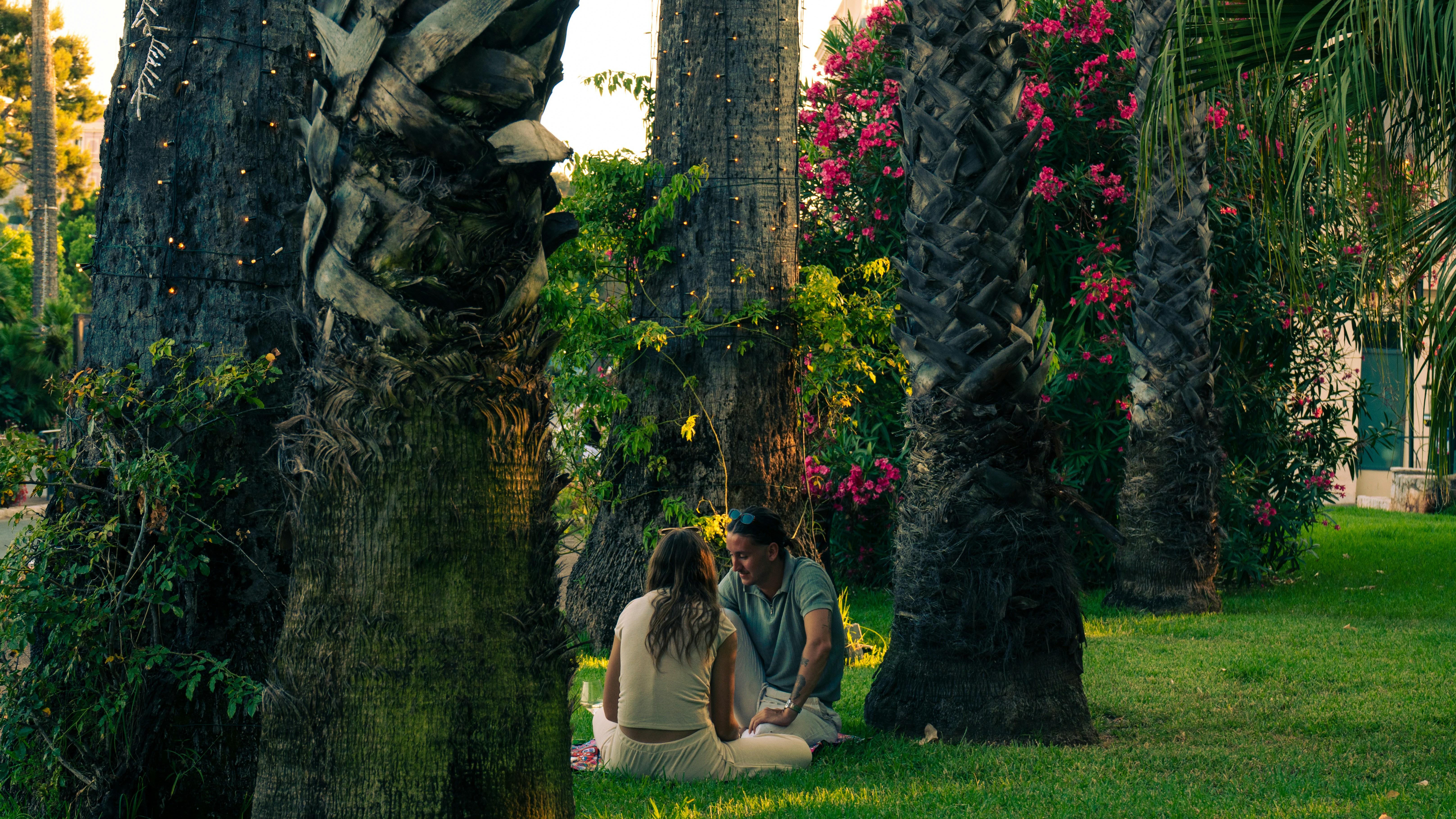 Quiet Moment Under Palm Shadows